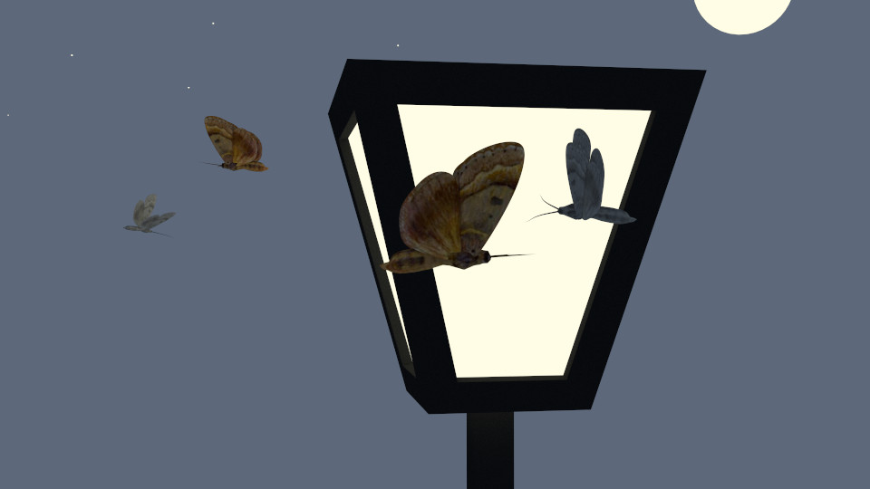 ArtStation - 3d animation of butterflies