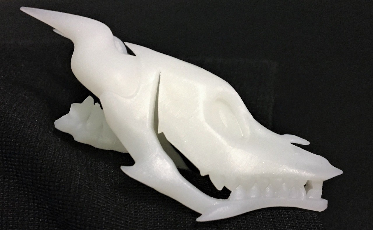 Bionickiwi - 3d Printed Model (Skeleton Monster)