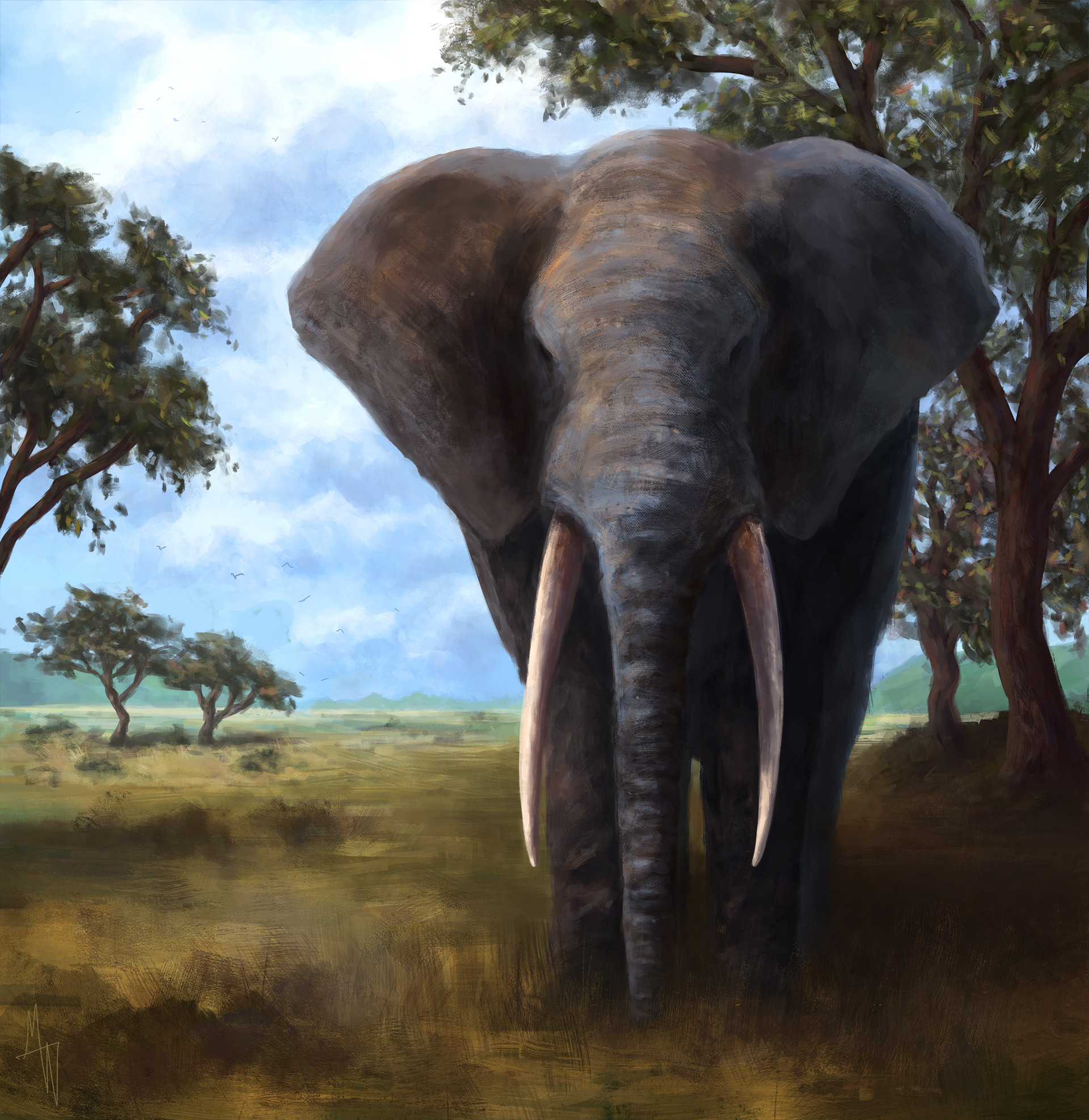 ArtStation - elephant