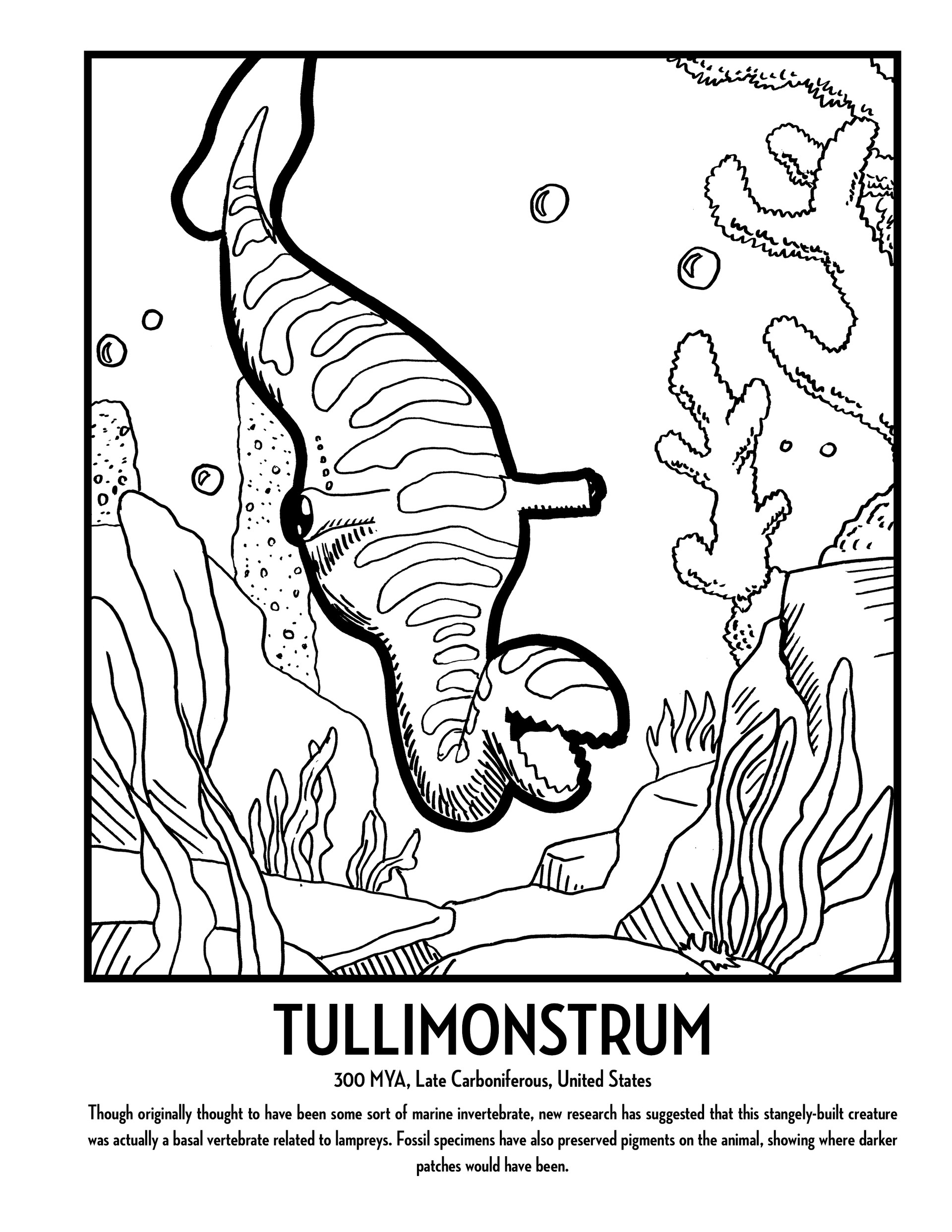 invertebrate coloring pages