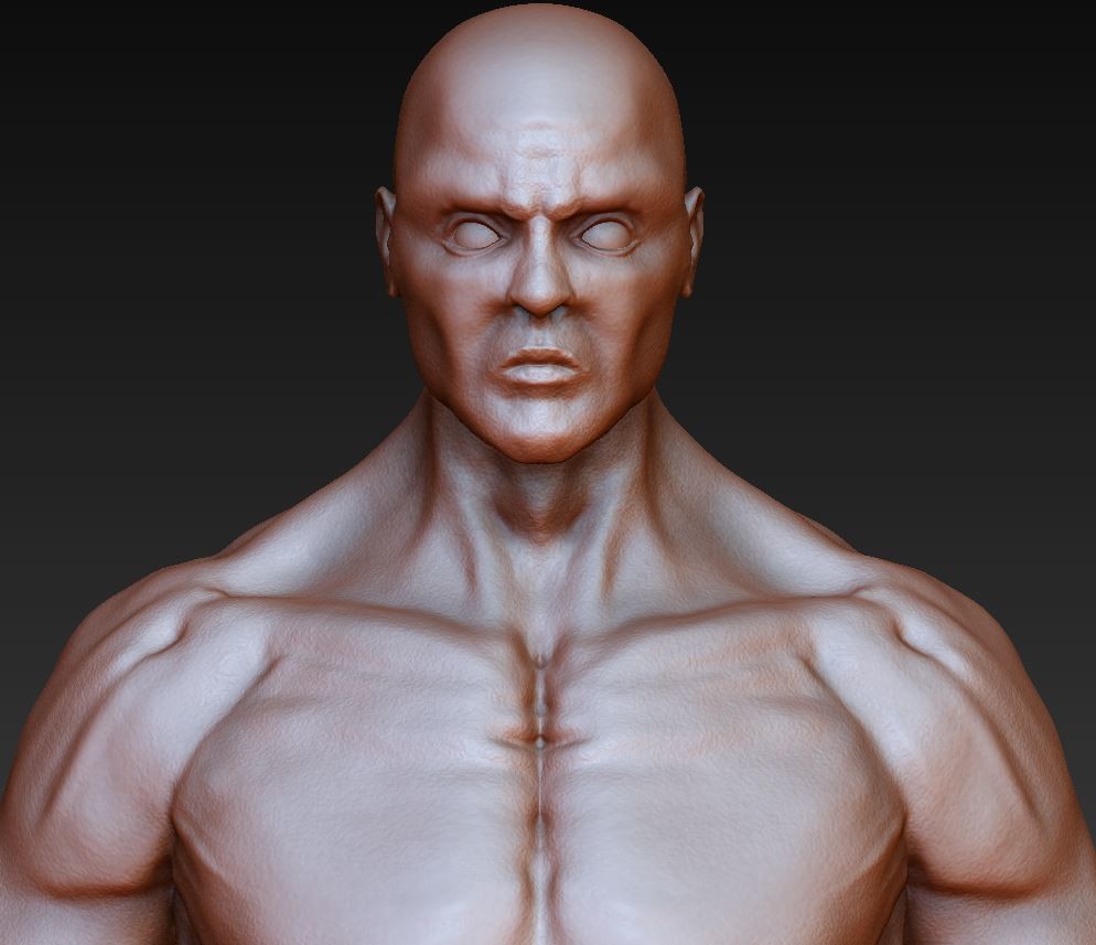 ArtStation - Écorché Model