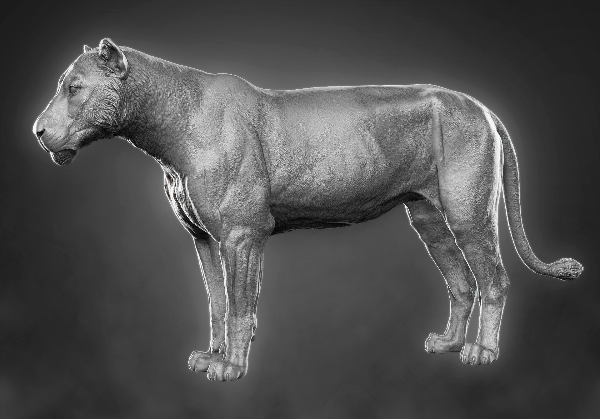 ArtStation - lioness