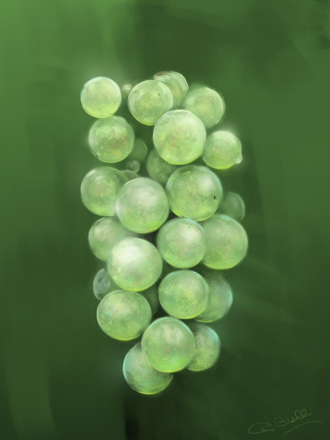 ArtStation - grapes study