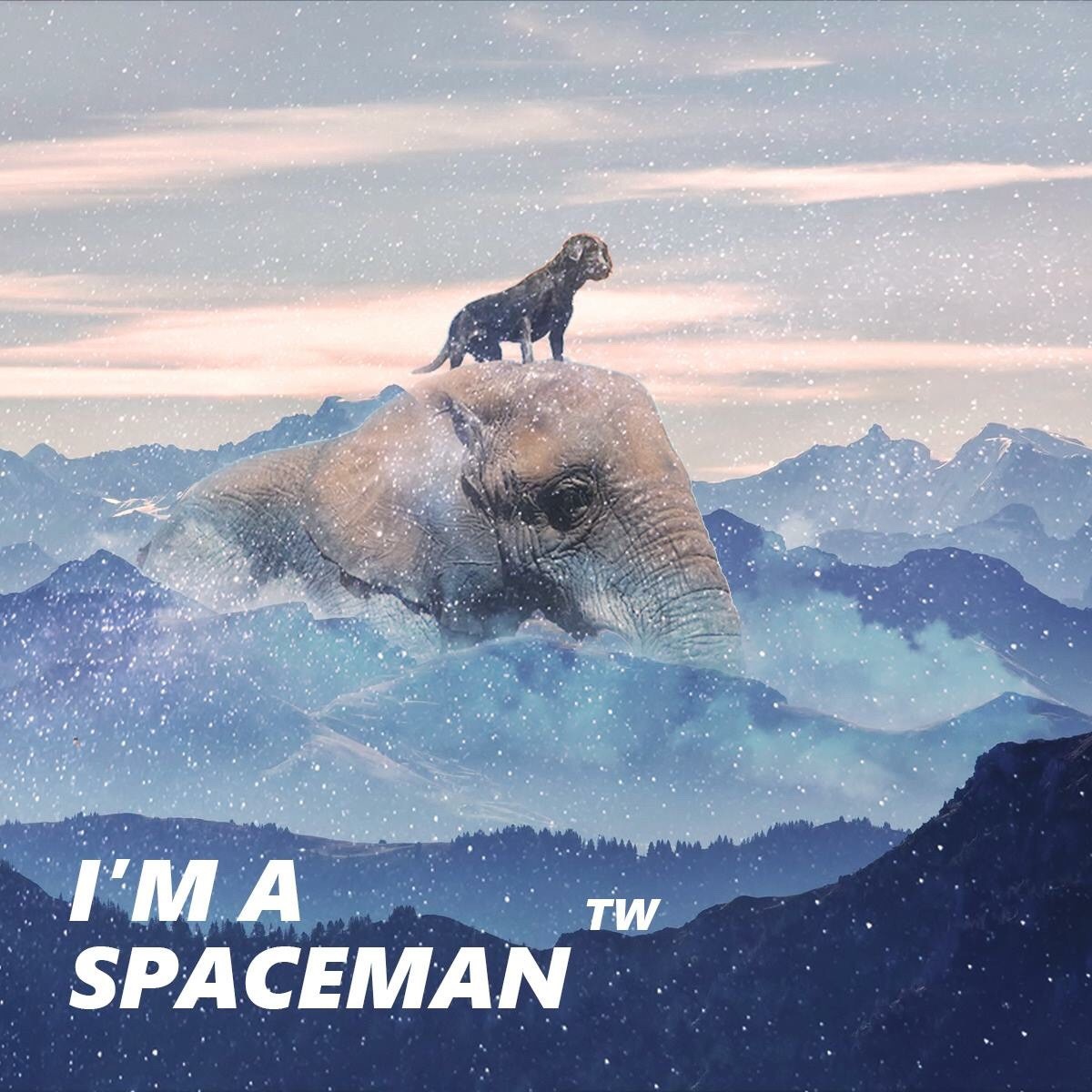 ArtStation - I'm a spaceman 1201