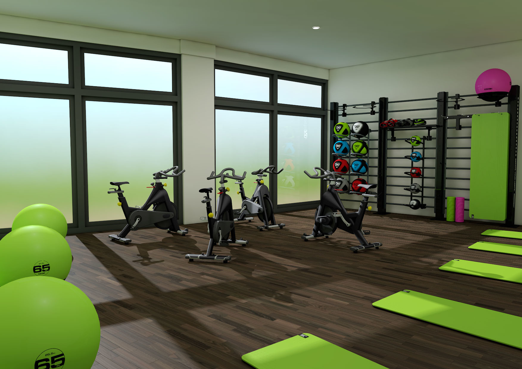 Dan Palmer - Escape gyms