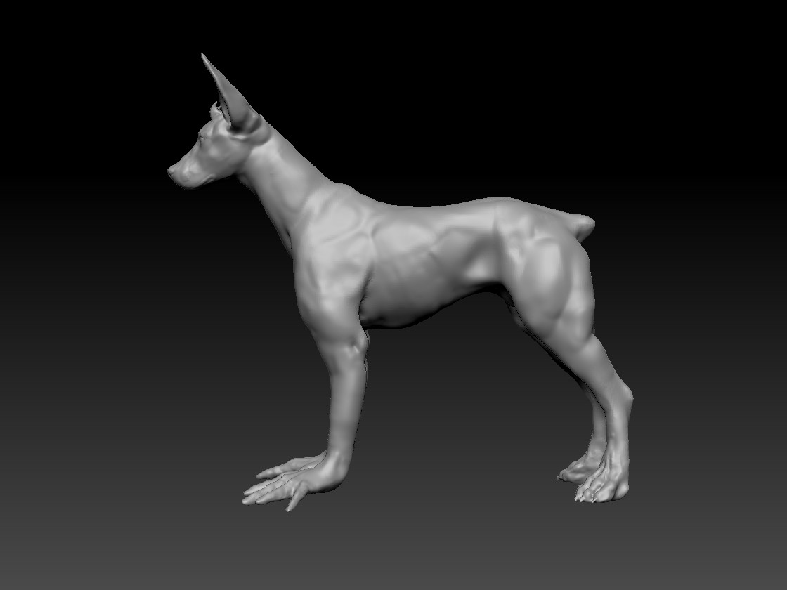 ArtStation - Mythological Dog