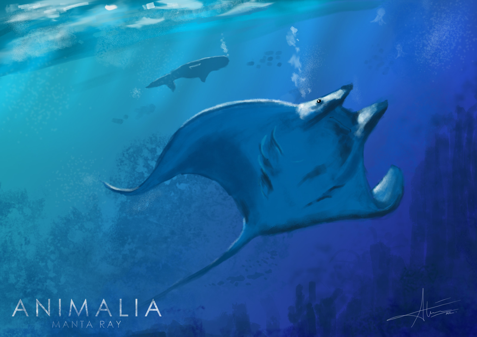 Alvin Agusta - ANIMALIA "MANTARAY"