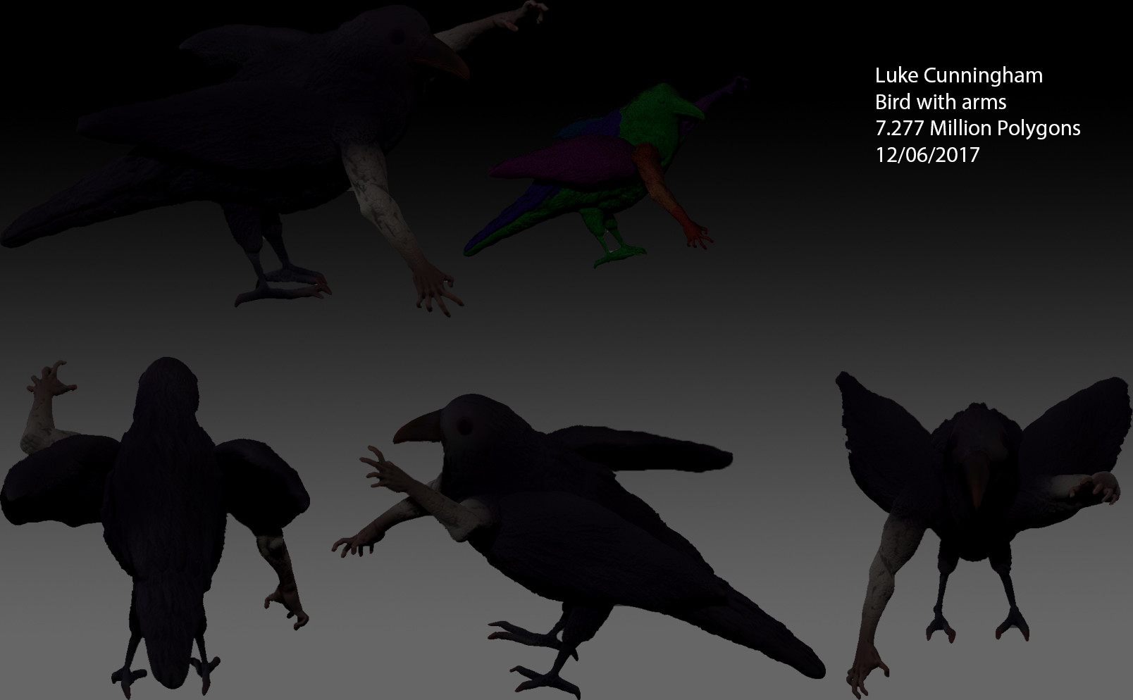 ArtStation - Bird with arms
