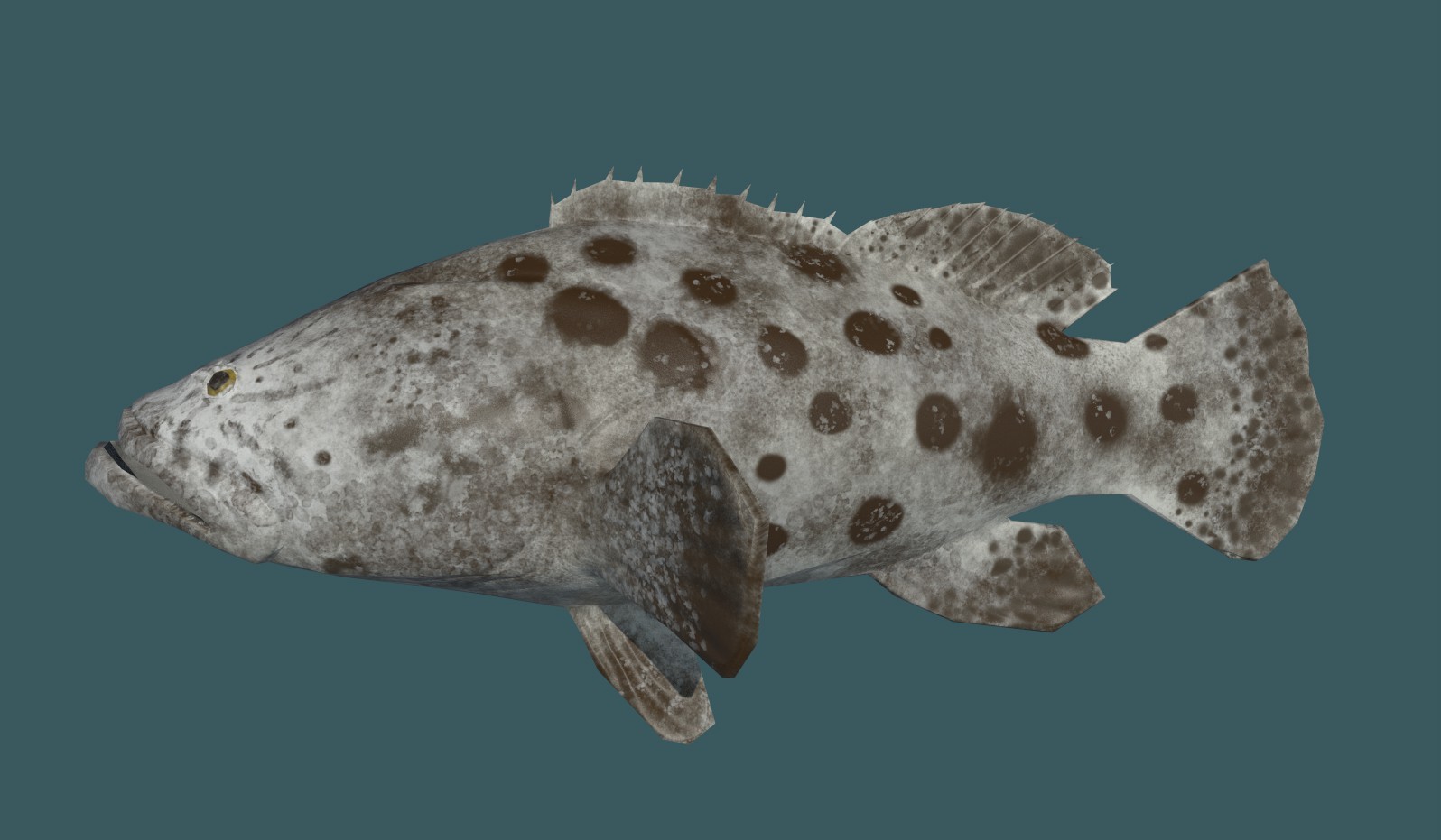 ArtStation - Potato cod for use inside unity