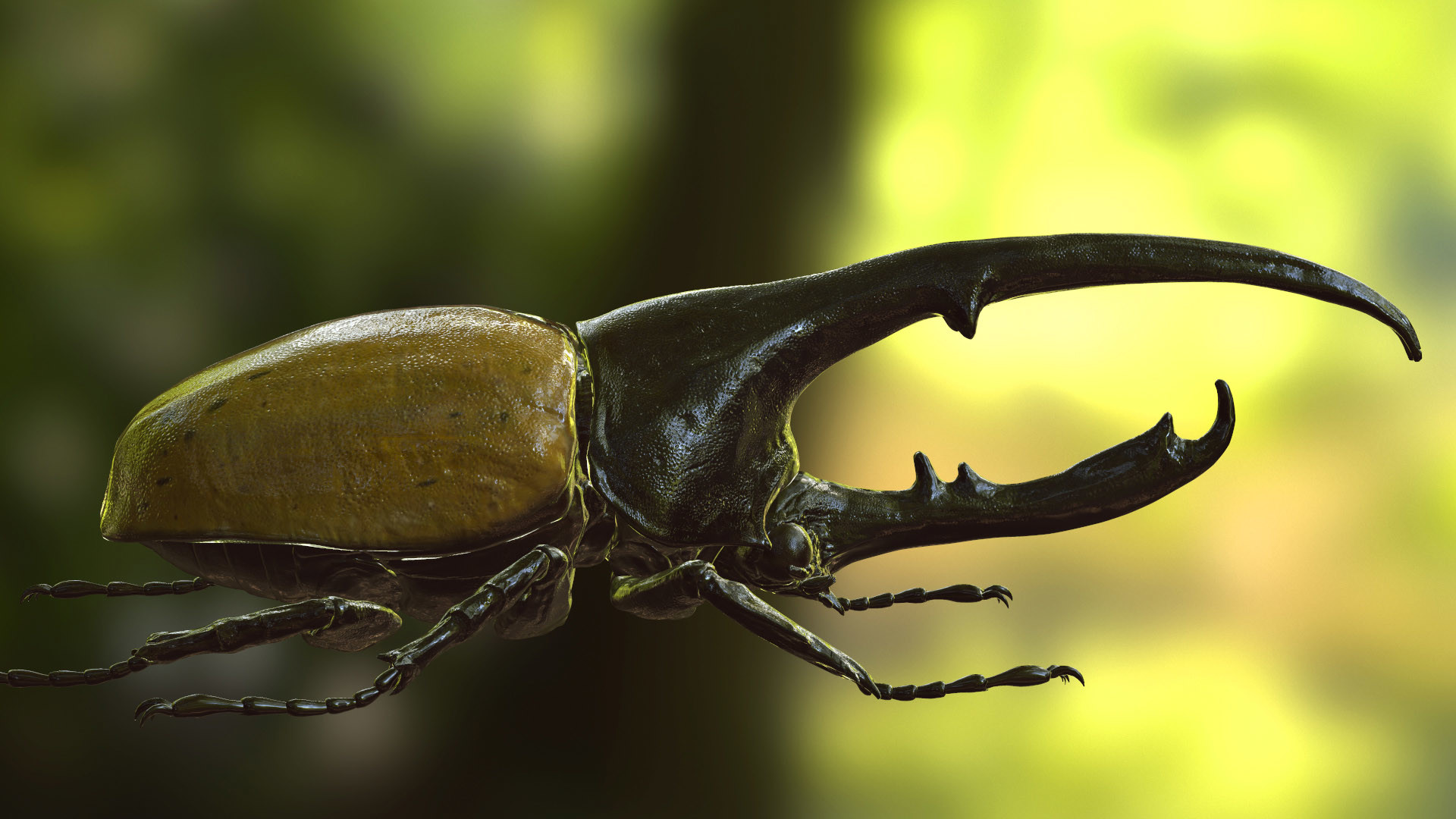 ArtStation - Hercules Beetle PBR