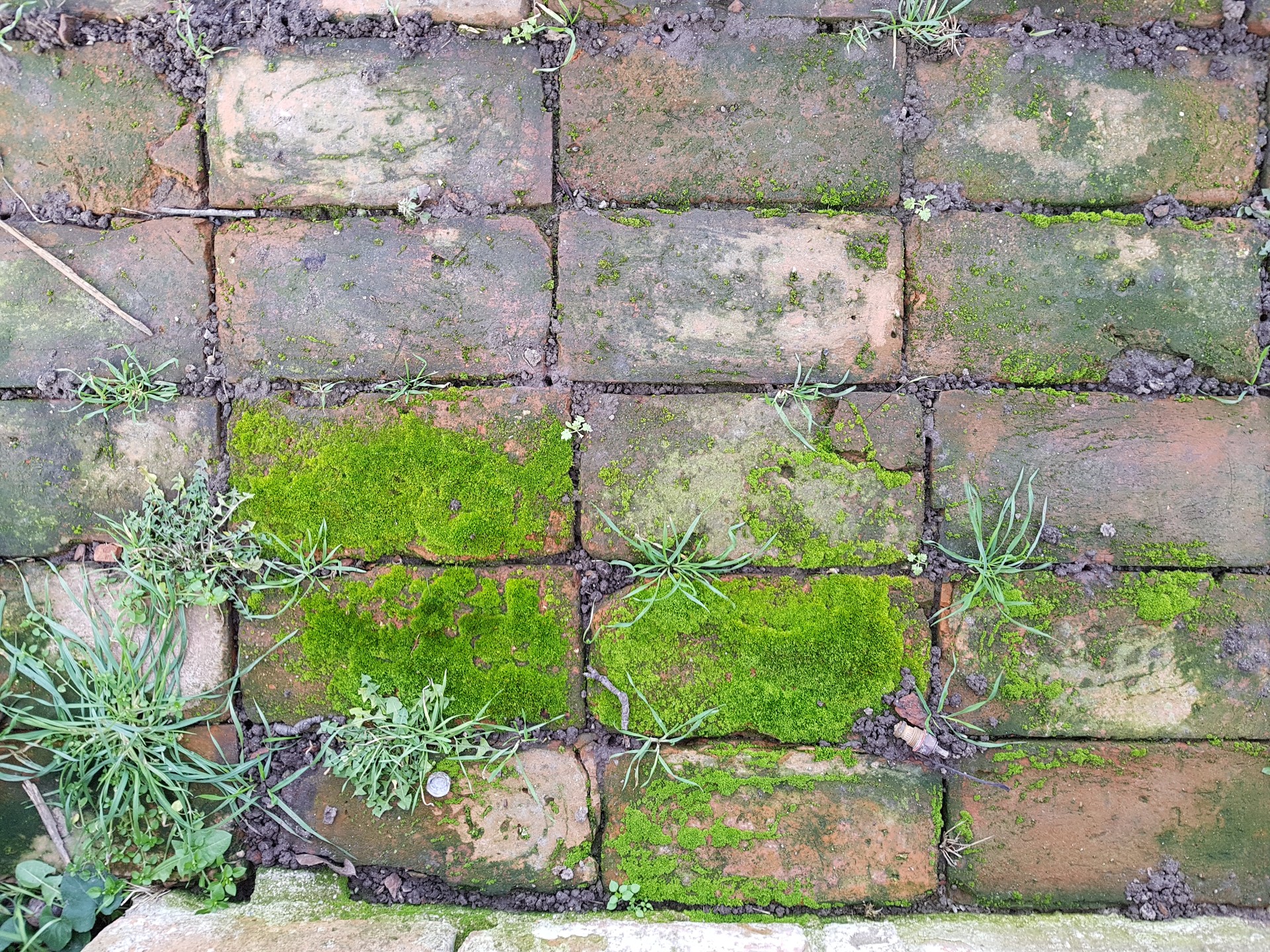 ArtStation - Free textures samples for Texture artist_01