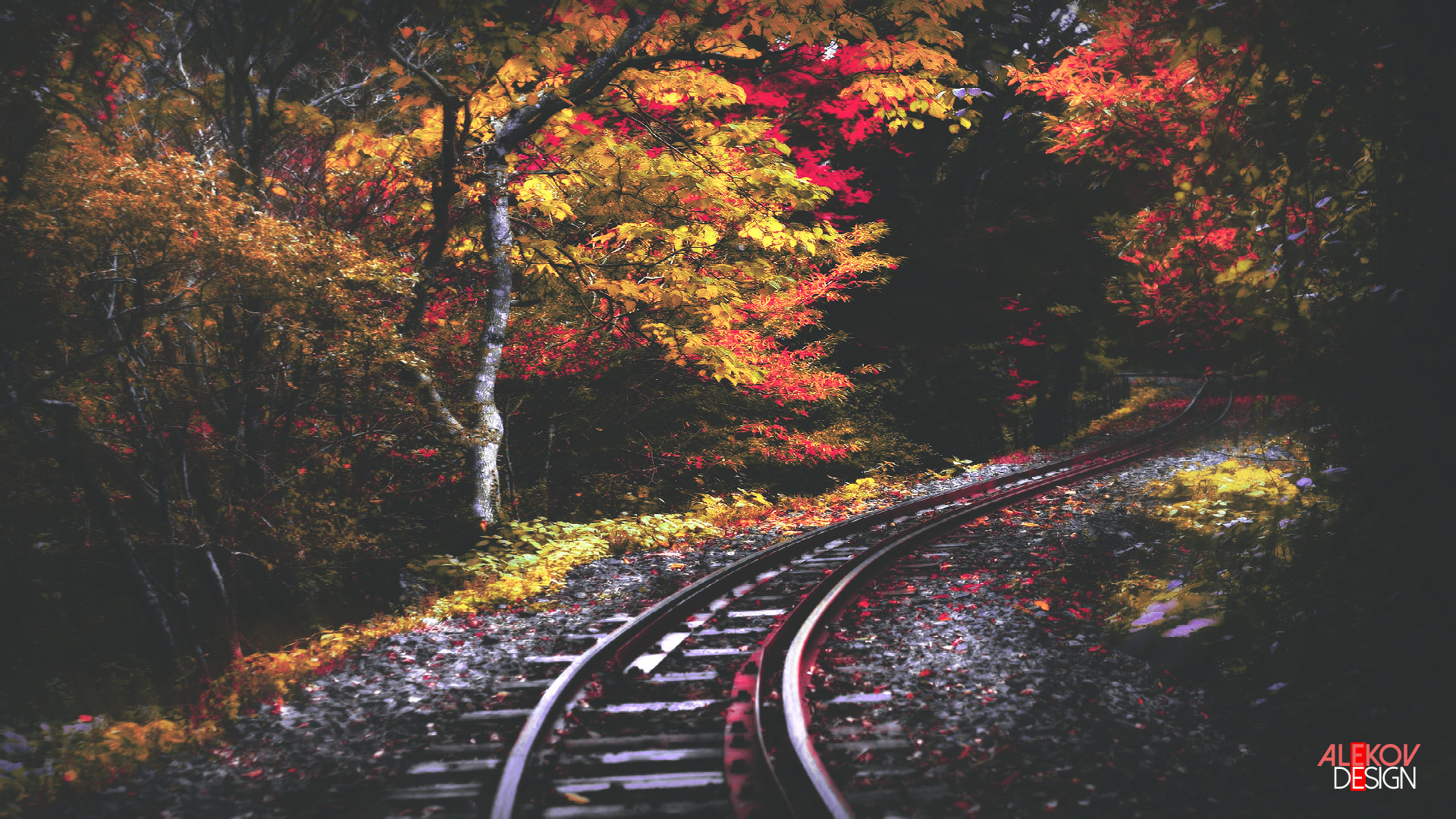 ArtStation - disappearance