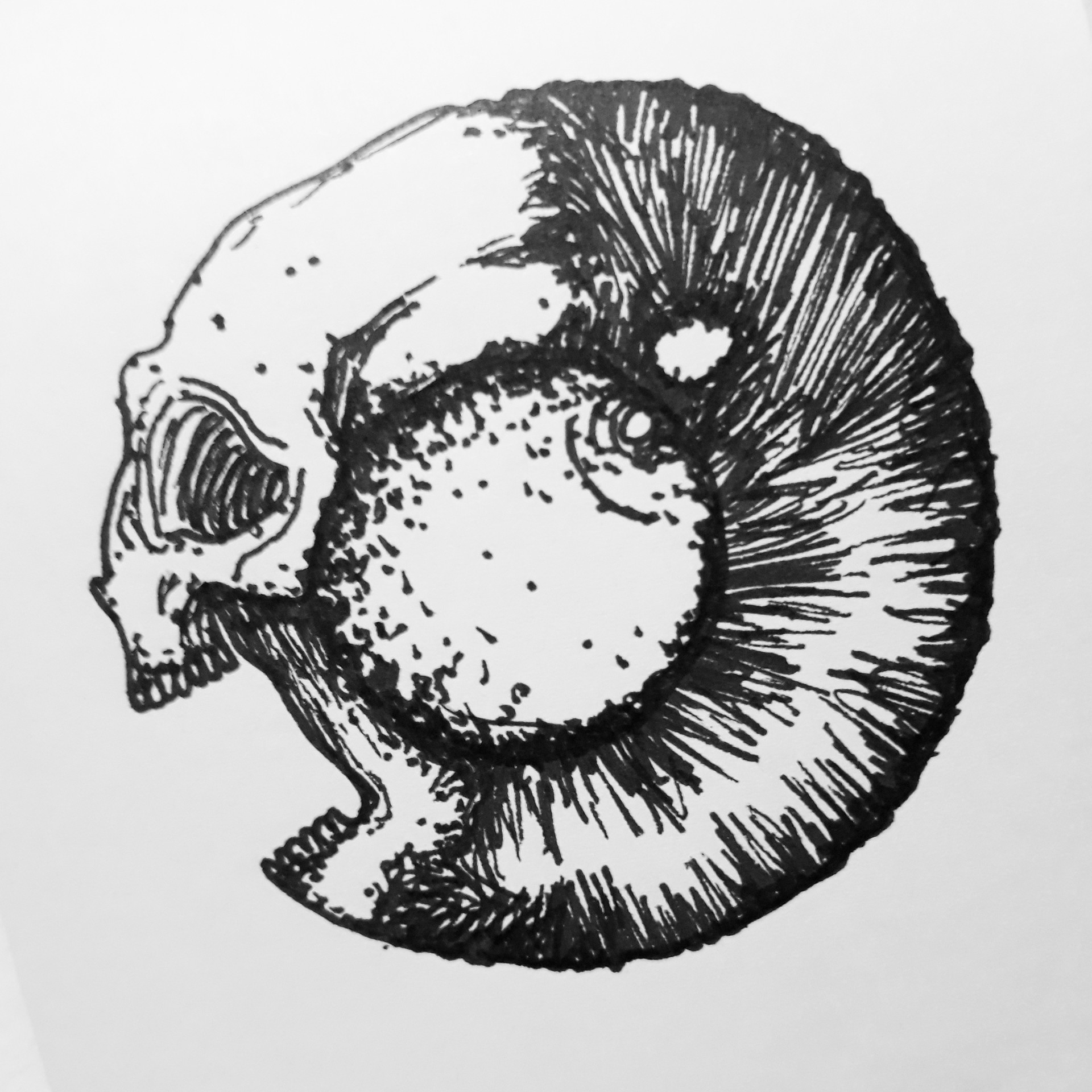 ArtStation - Deadeye Ball