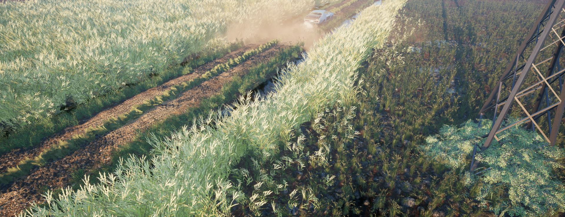 ArtStation - Road at the swamp.