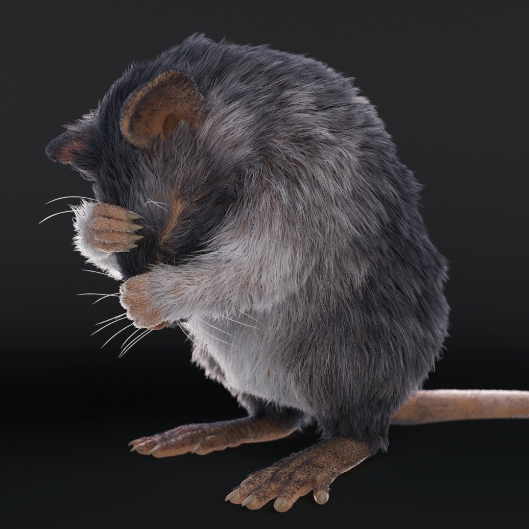 ArtStation - Mouse, Mikkel Arildsen