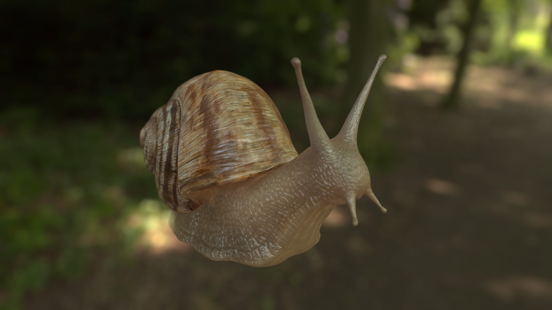 ArtStation - Snail