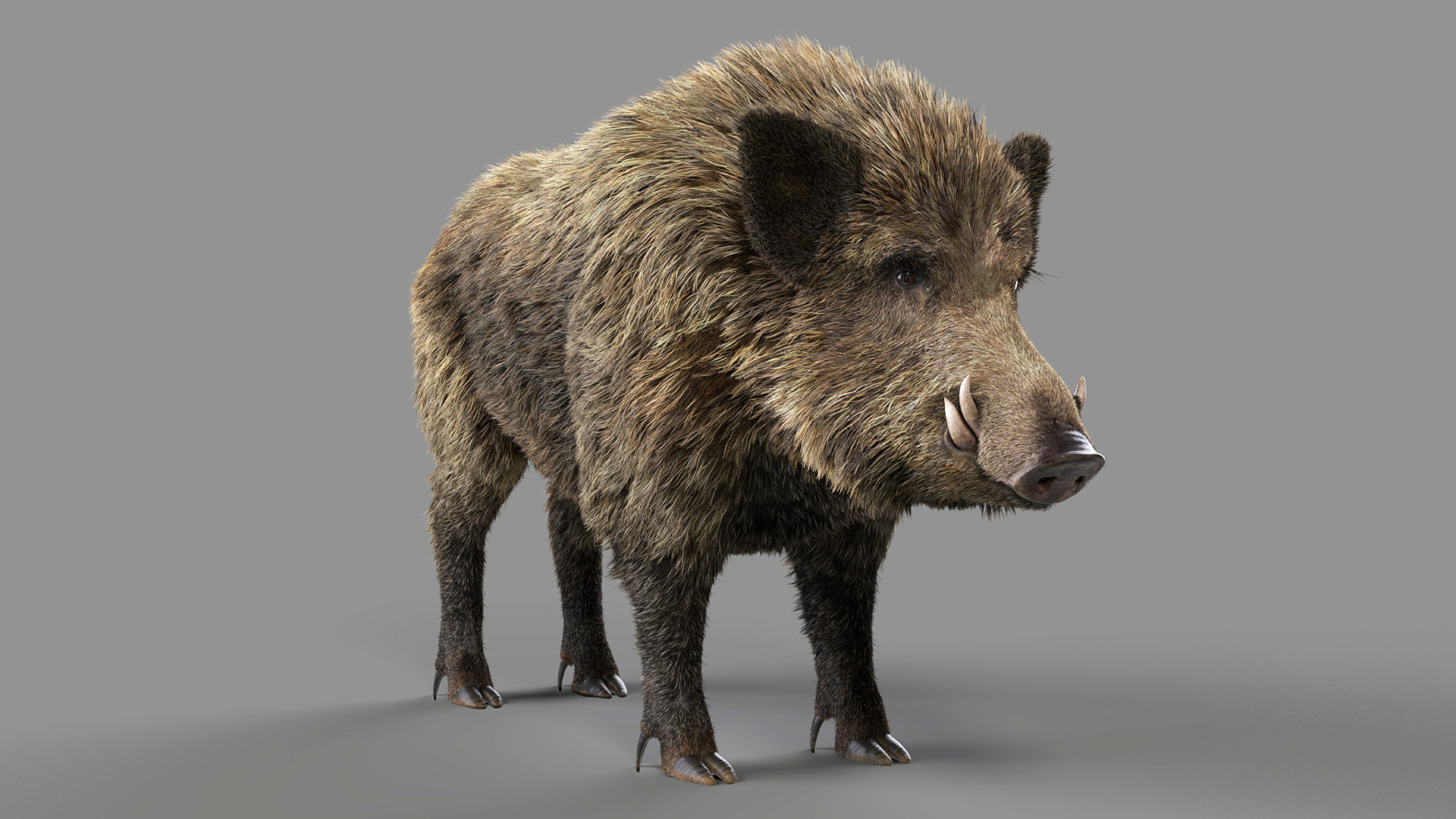 ArtStation - LookDev/Jabali