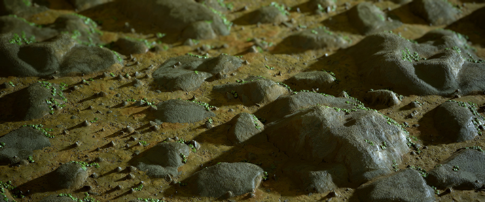 Daniel Thiger - Jungle Riverbed Rocks