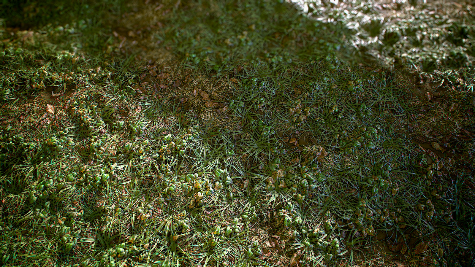 Daniel Thiger - Jungle Grass