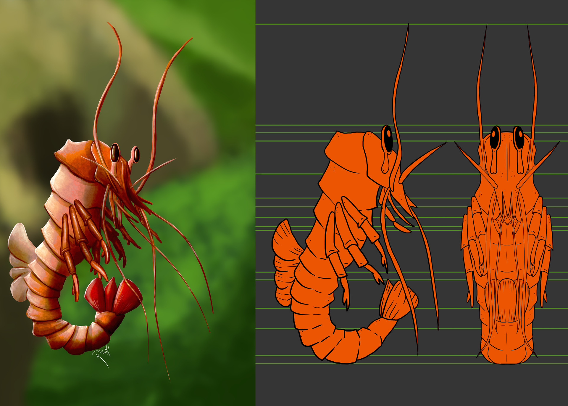 Ashton Wolf - Assorted Creature Class