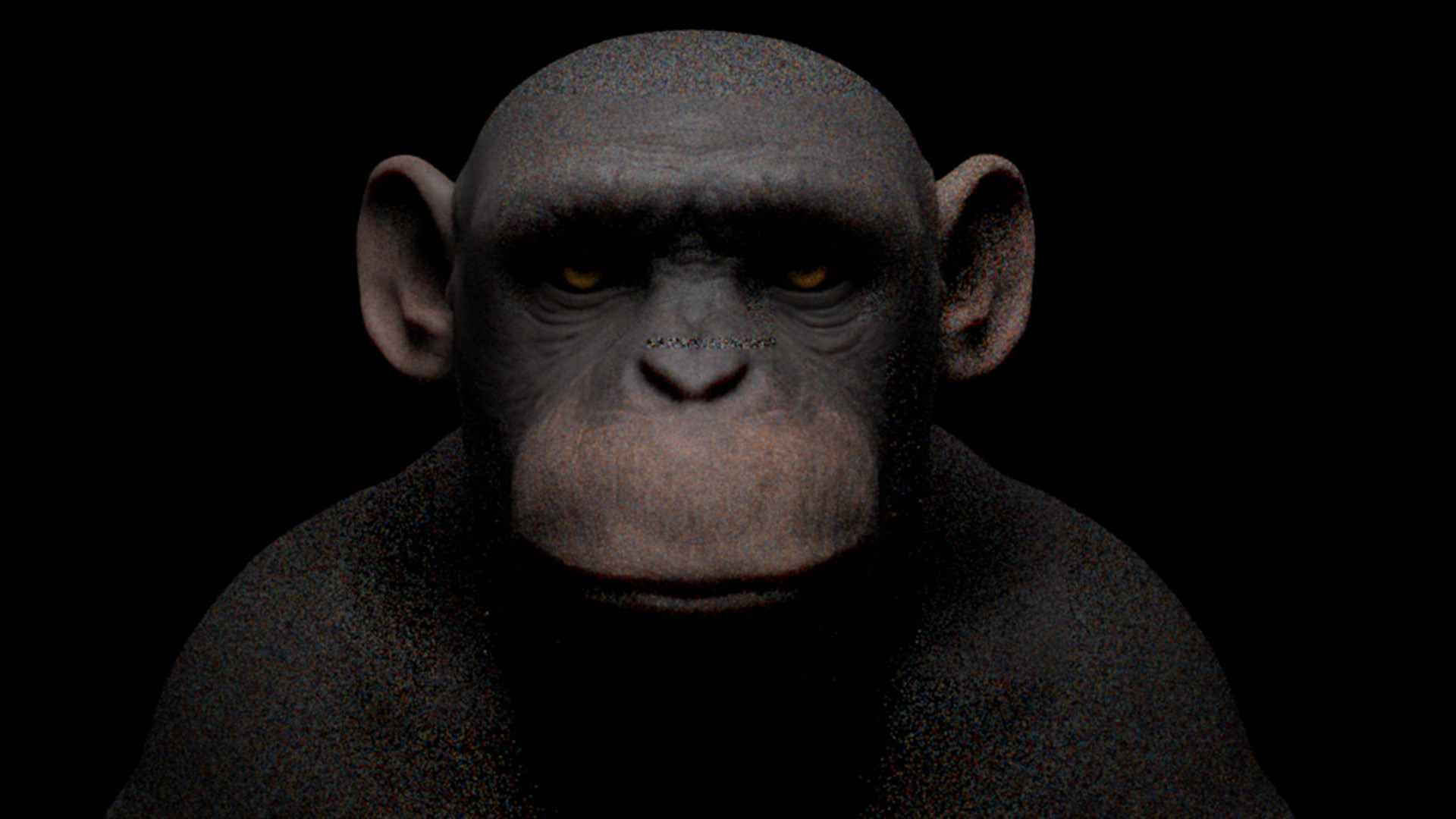 Solal Amiri - The Chimpanzee Project