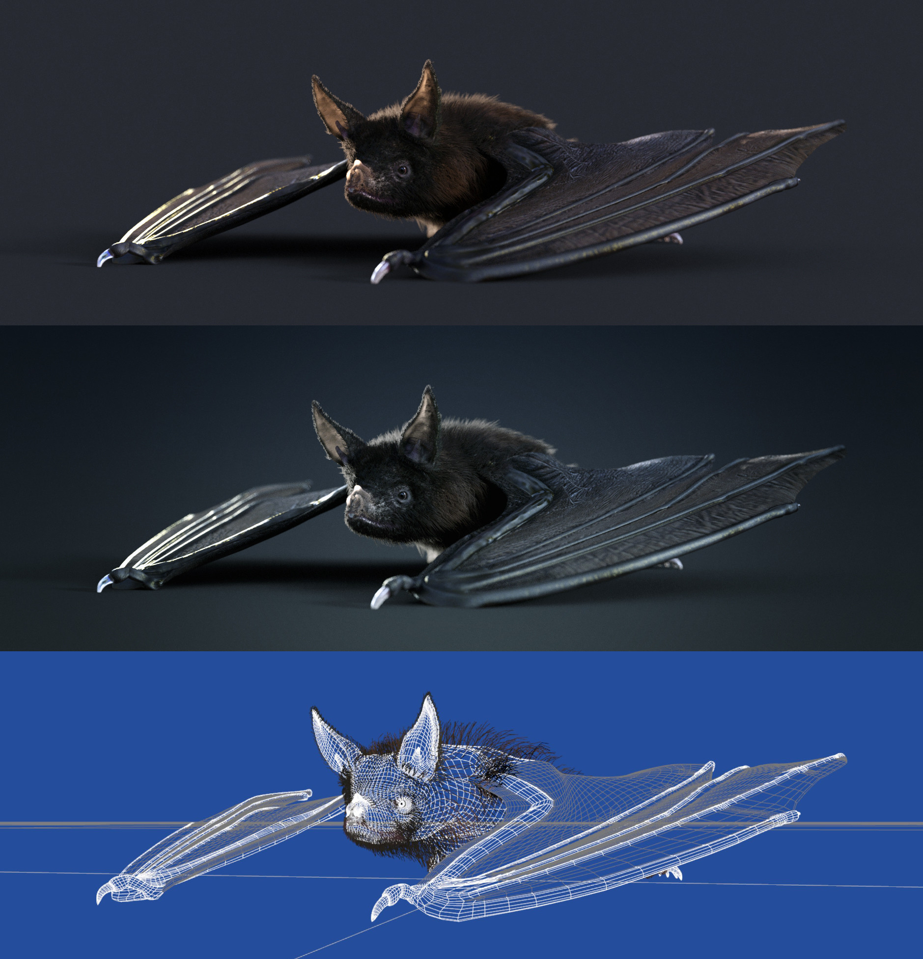 ArtStation - Vampire bat WIP