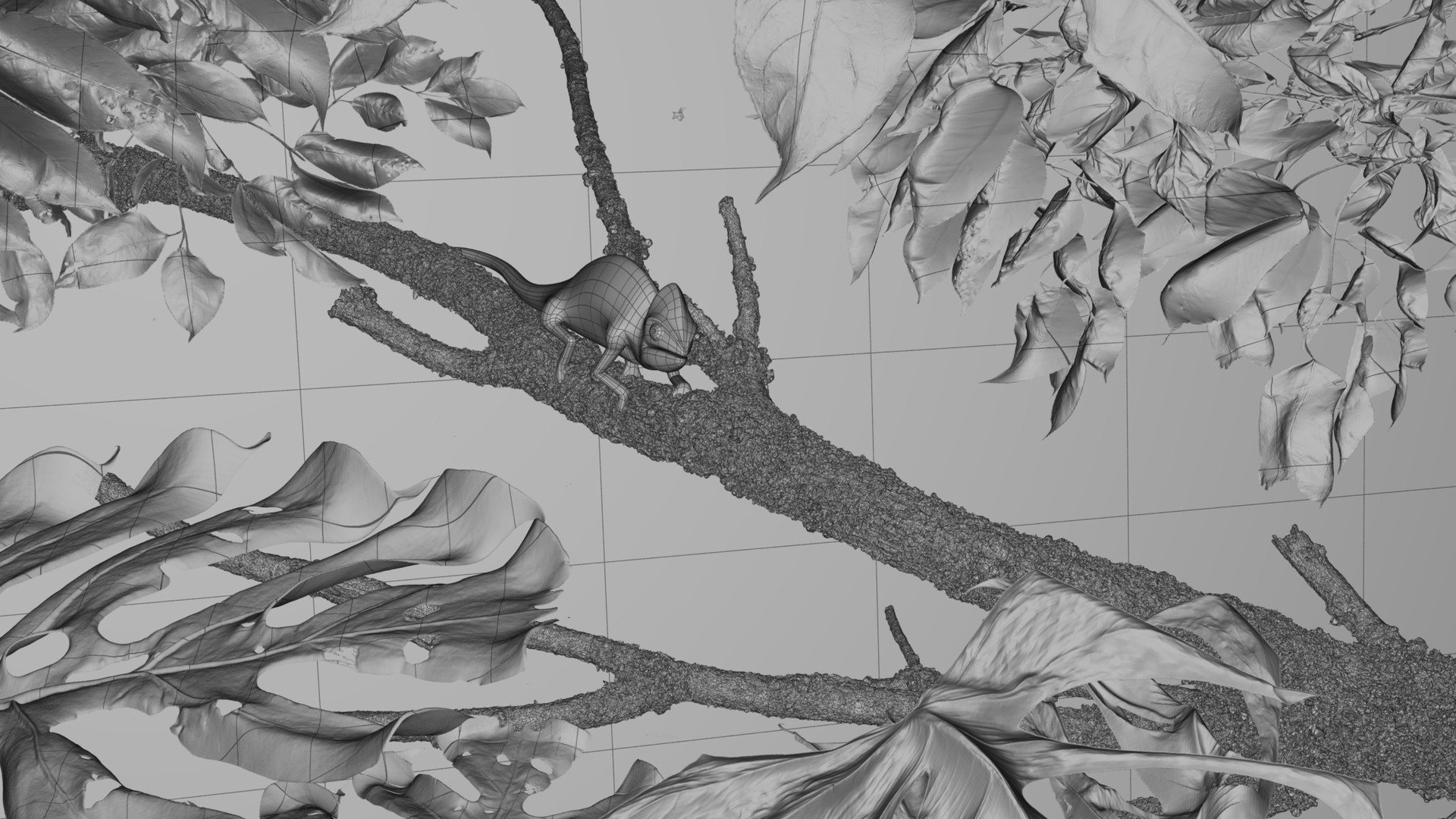 Tim Kaminski - Madagaskar