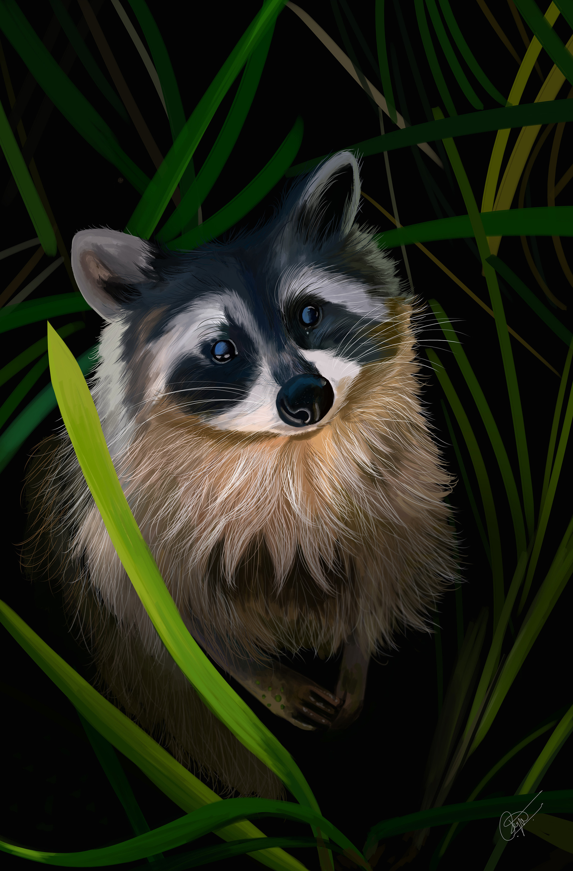 ArtStation - raccoon