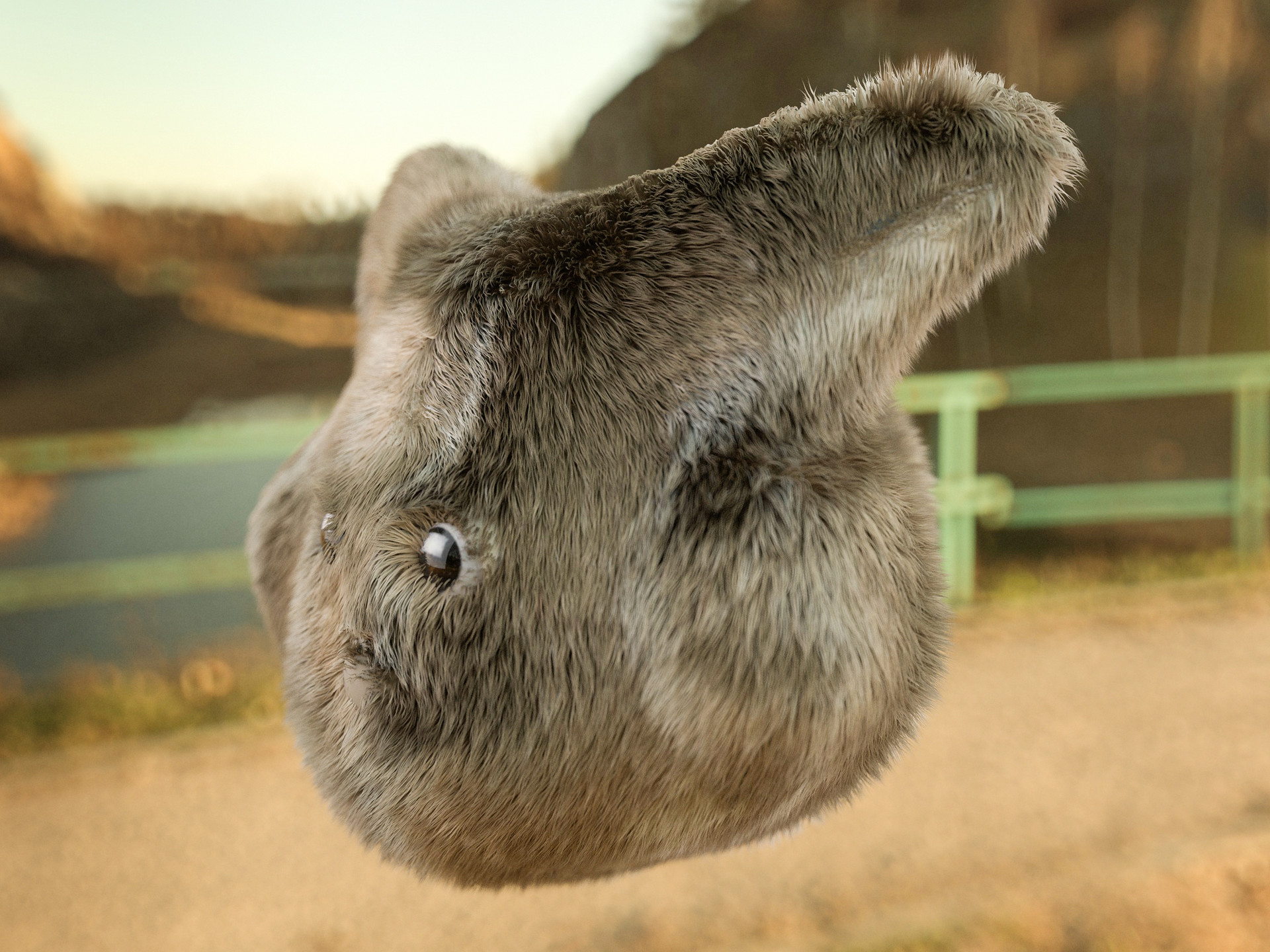 ArtStation - Hair Cinema 4d + Redshift