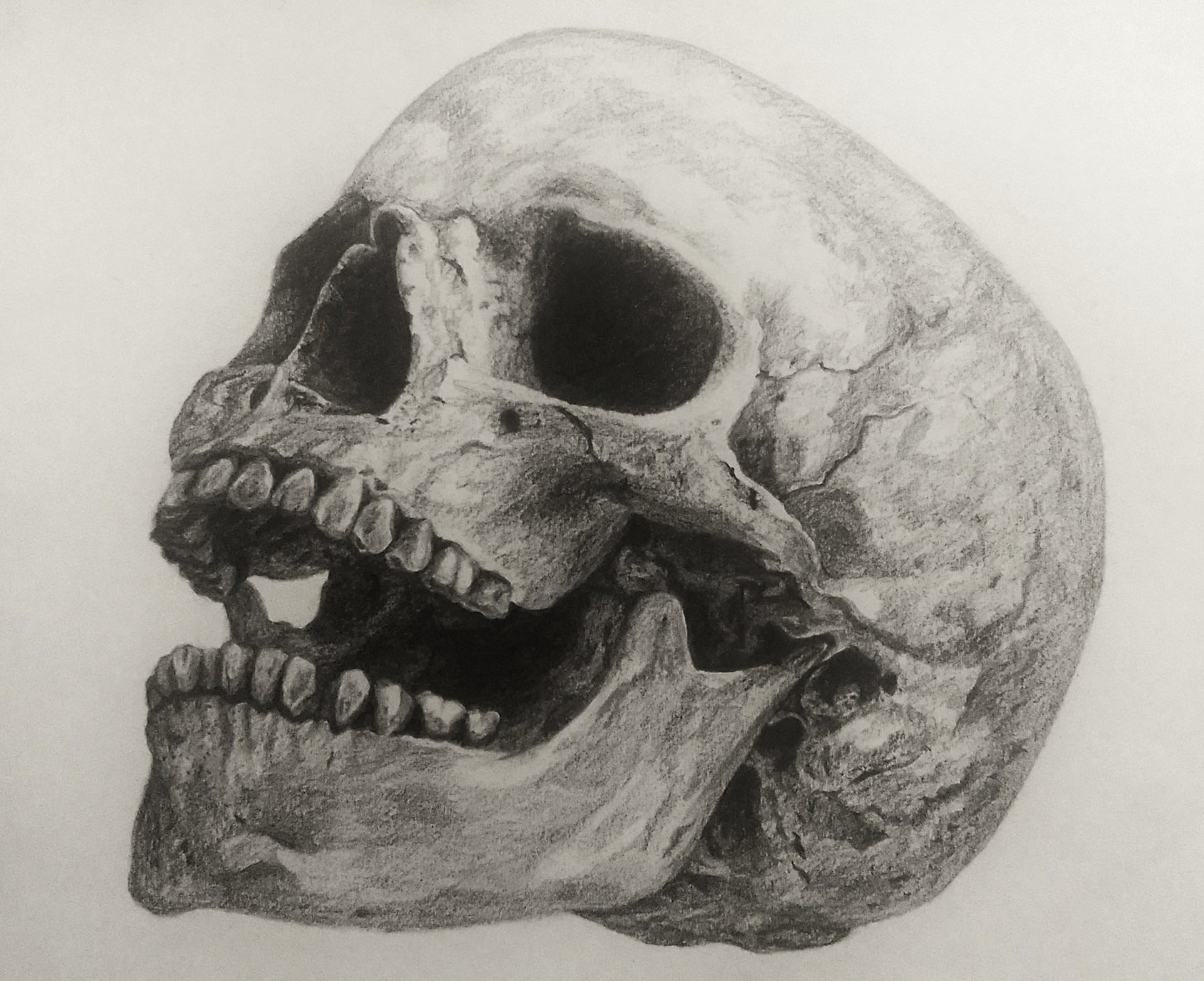 how to draw bone texture