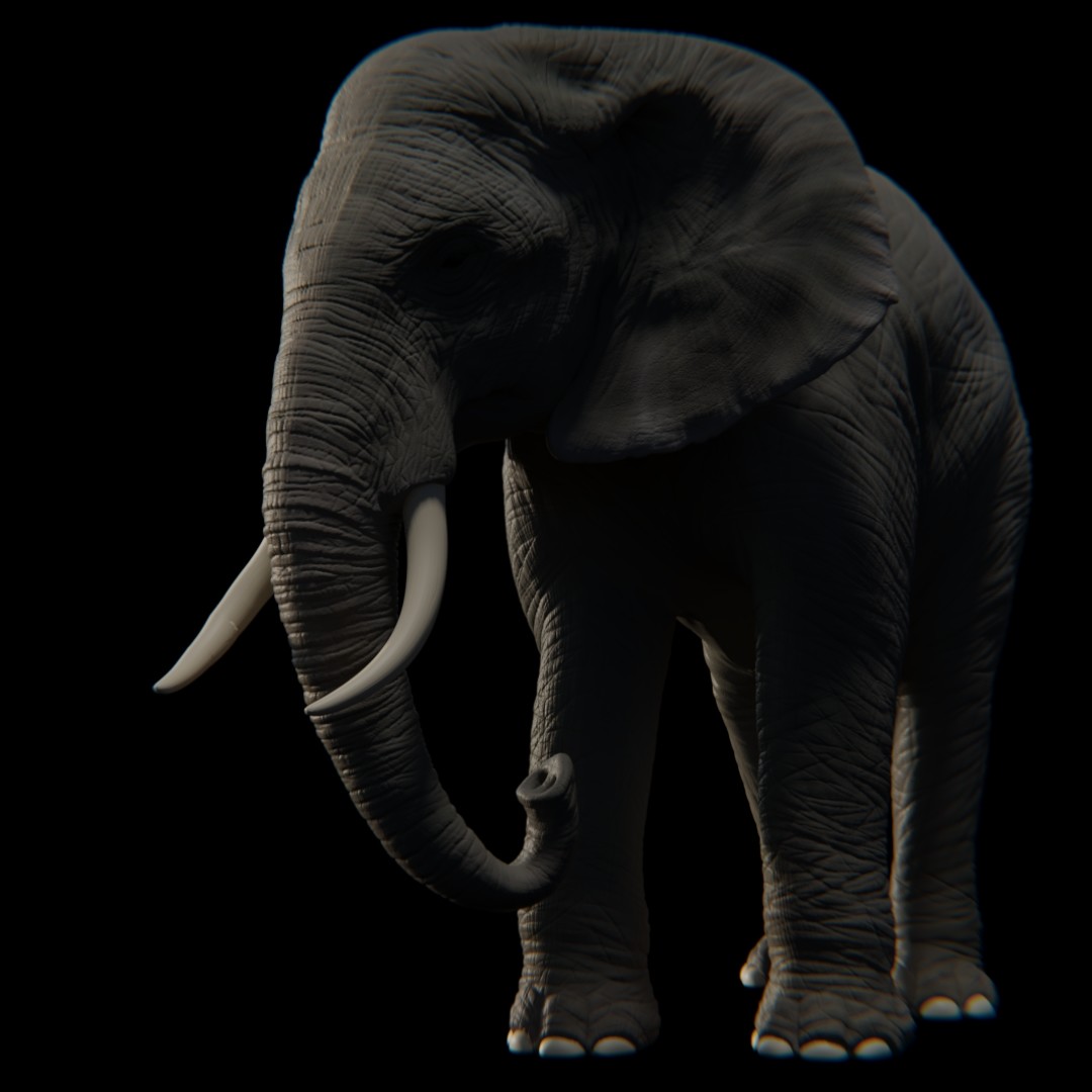 ArtStation - Elephant