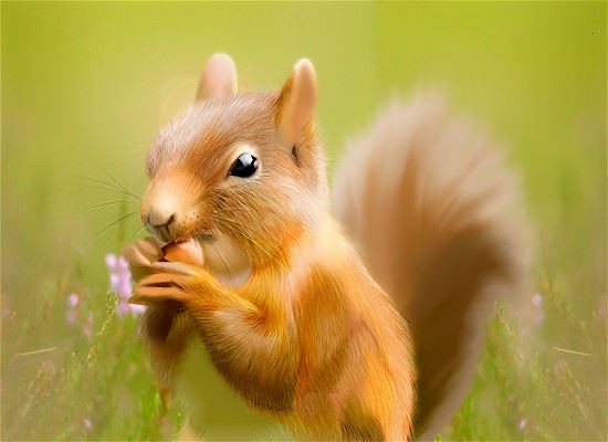 ArtStation - Animal painting