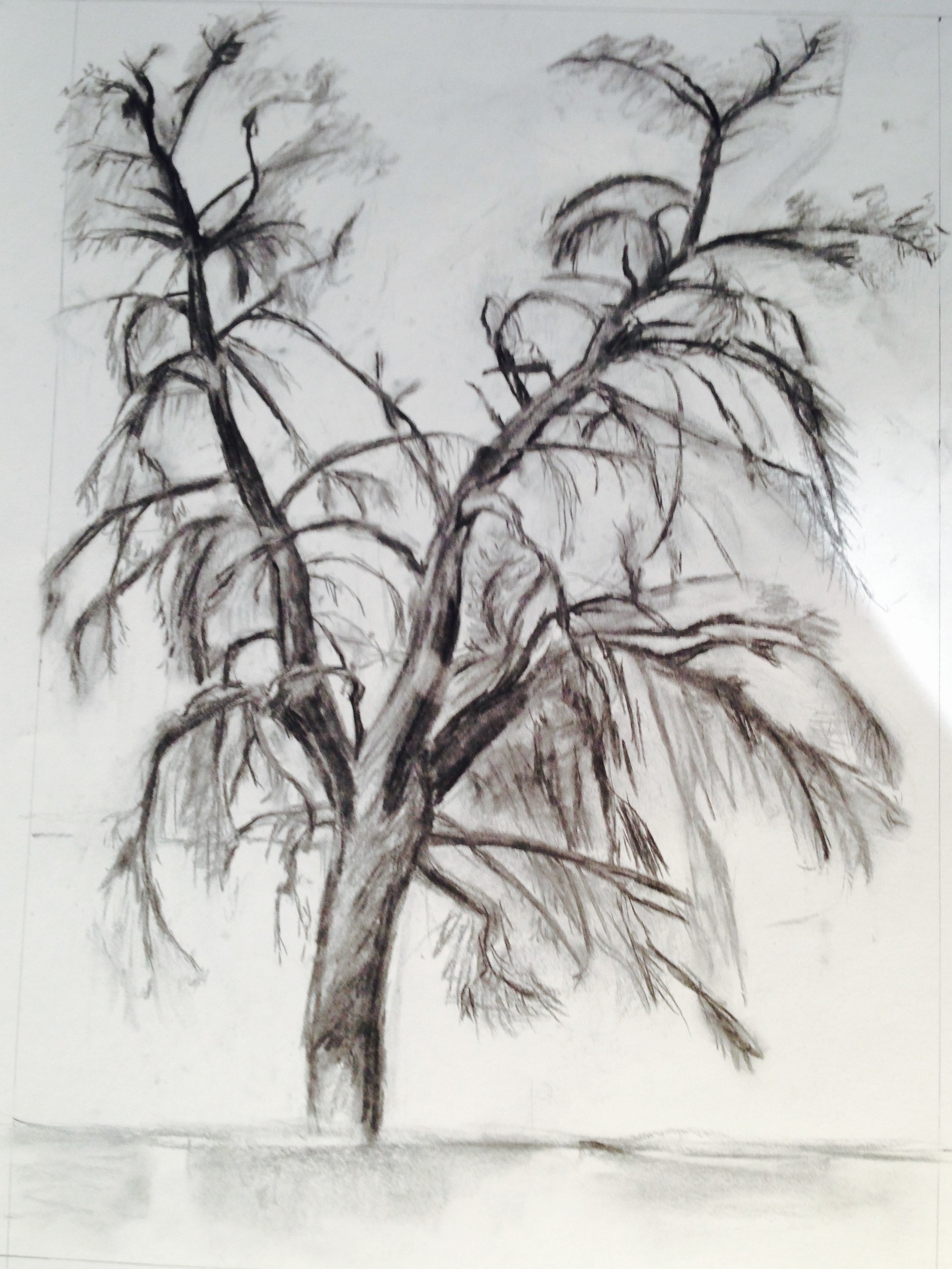 ArtStation - Tree Sketch