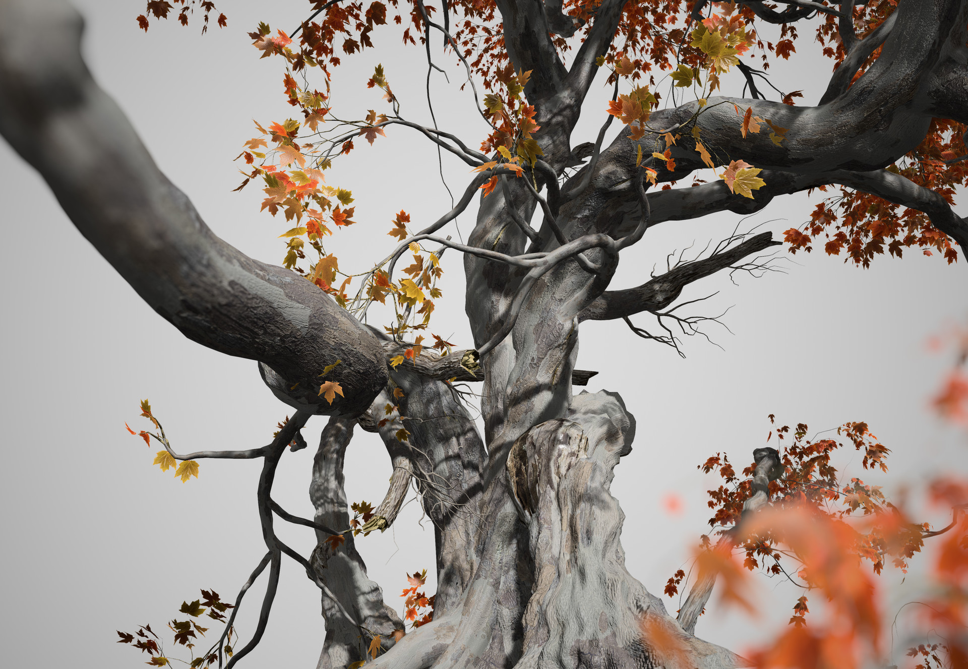 ArtStation - Gnarly VFX Chalk Maple