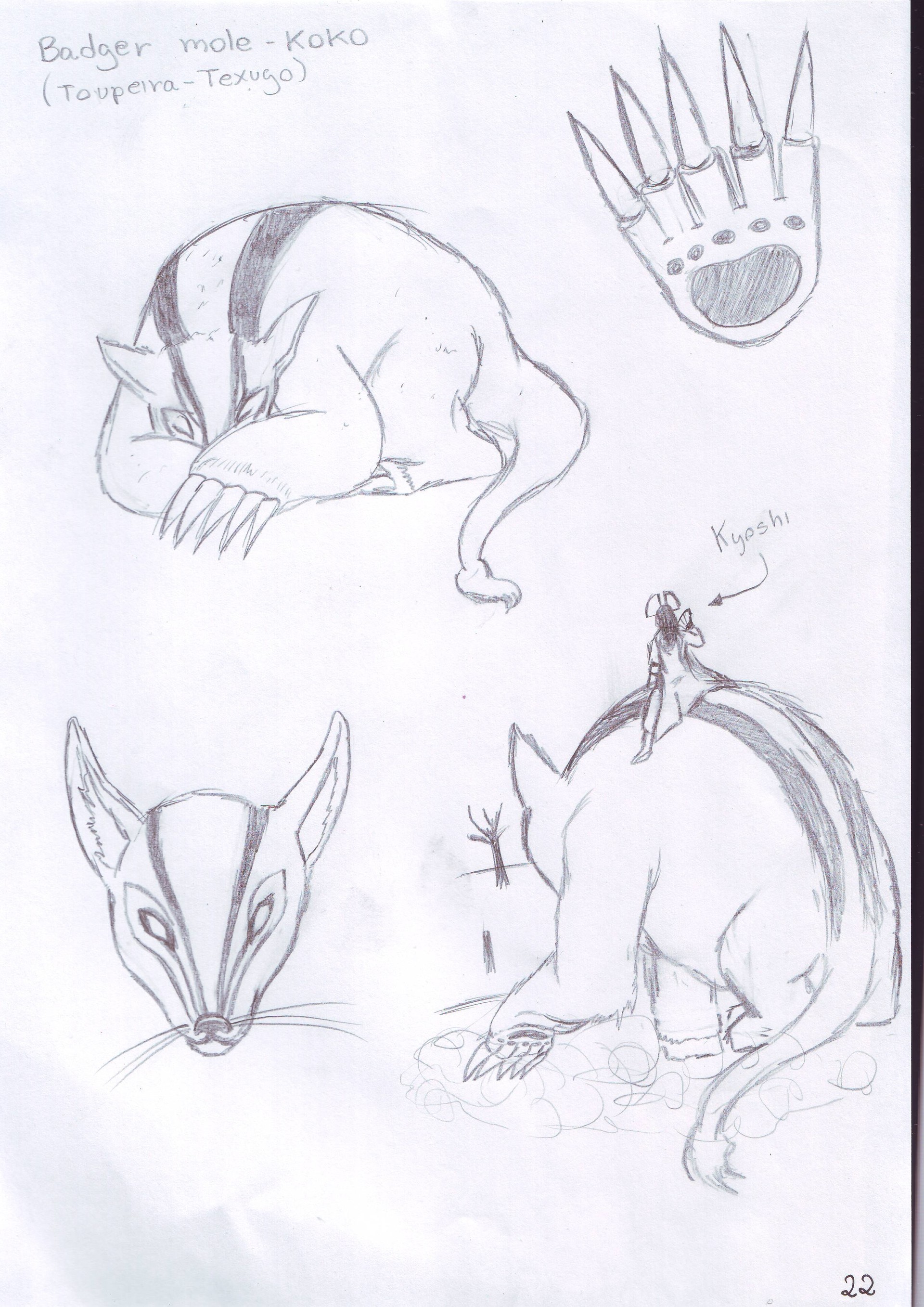 ReraDuragon - Redesign II - Cho Akainu (Avatar)