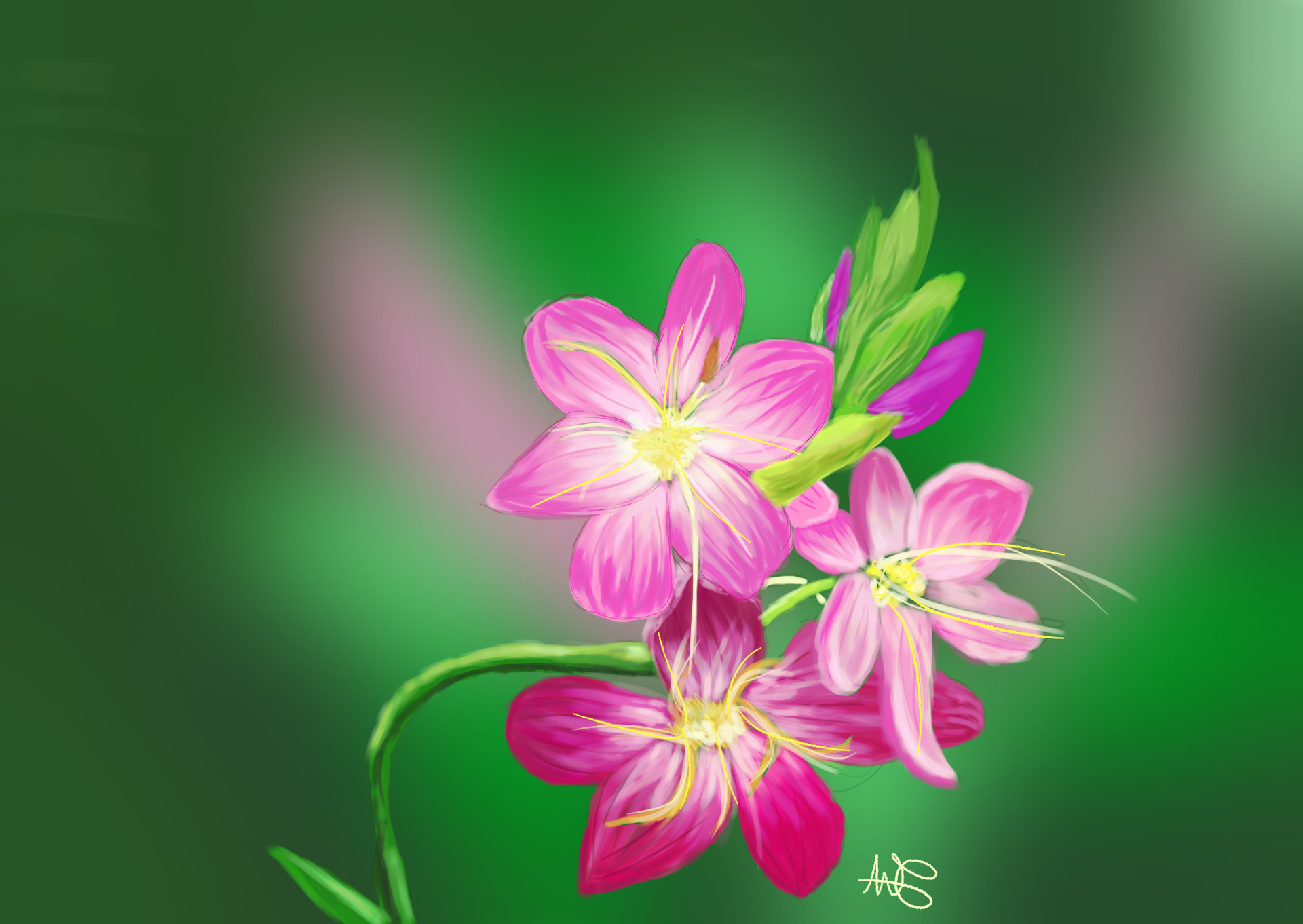 ArtStation - Pink Flower - Digital Practice