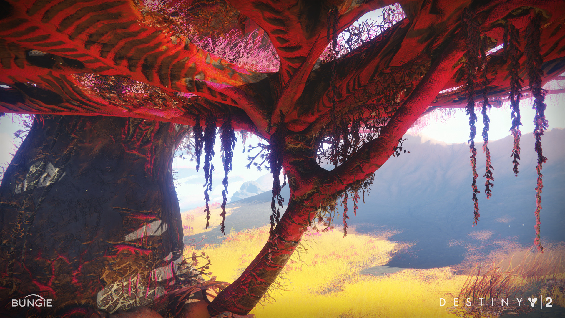 Steven Klipowicz - Destiny 2 Mercury Past Trees