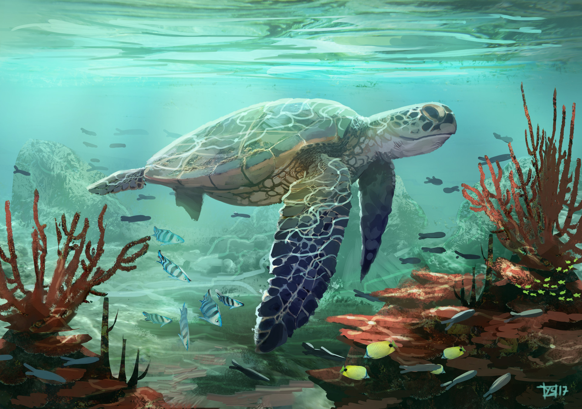 ArtStation - Sea turtle 1