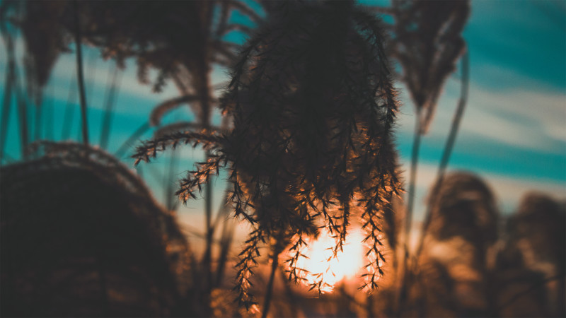 ArtStation - Jaden Roberson