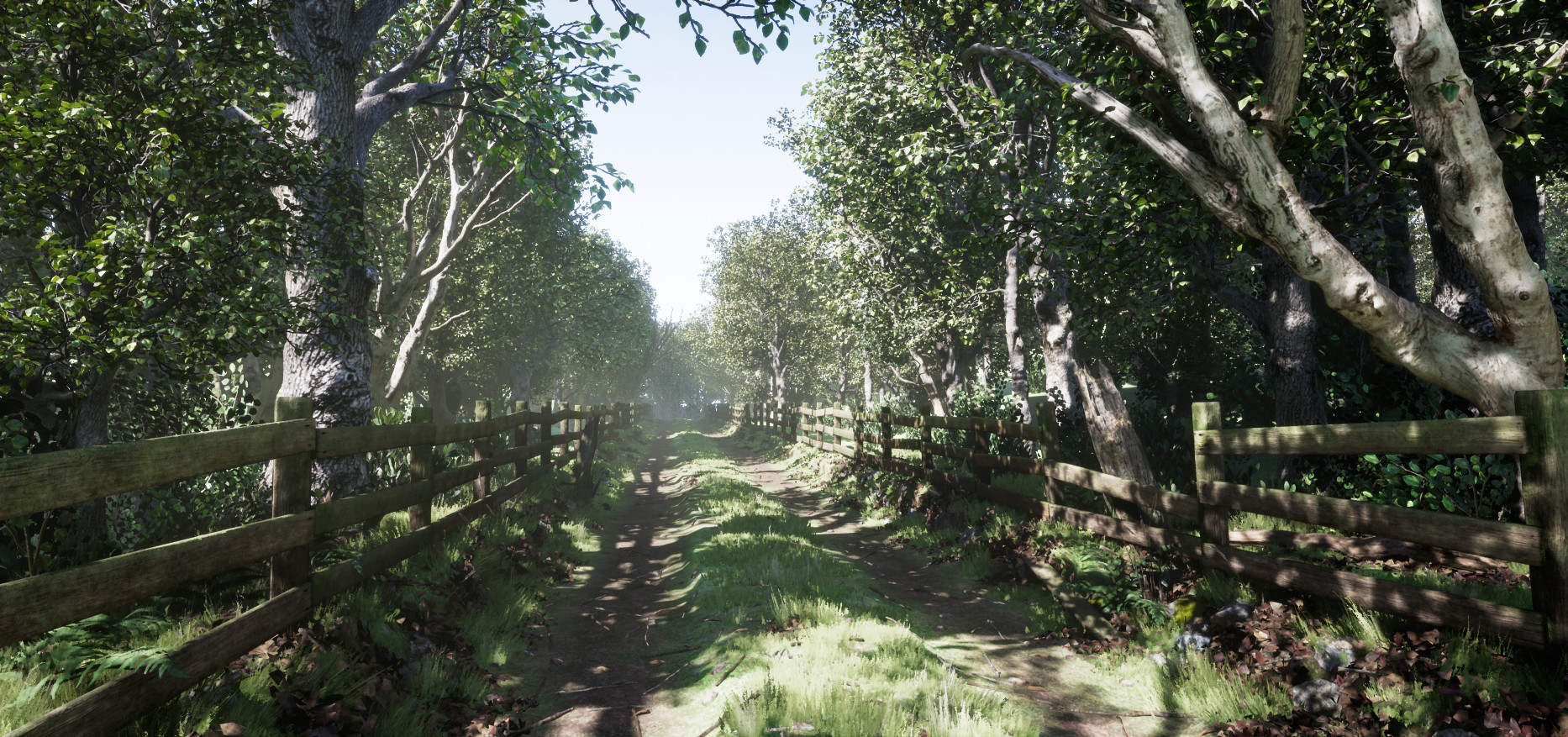 ArtStation - Forest pathway