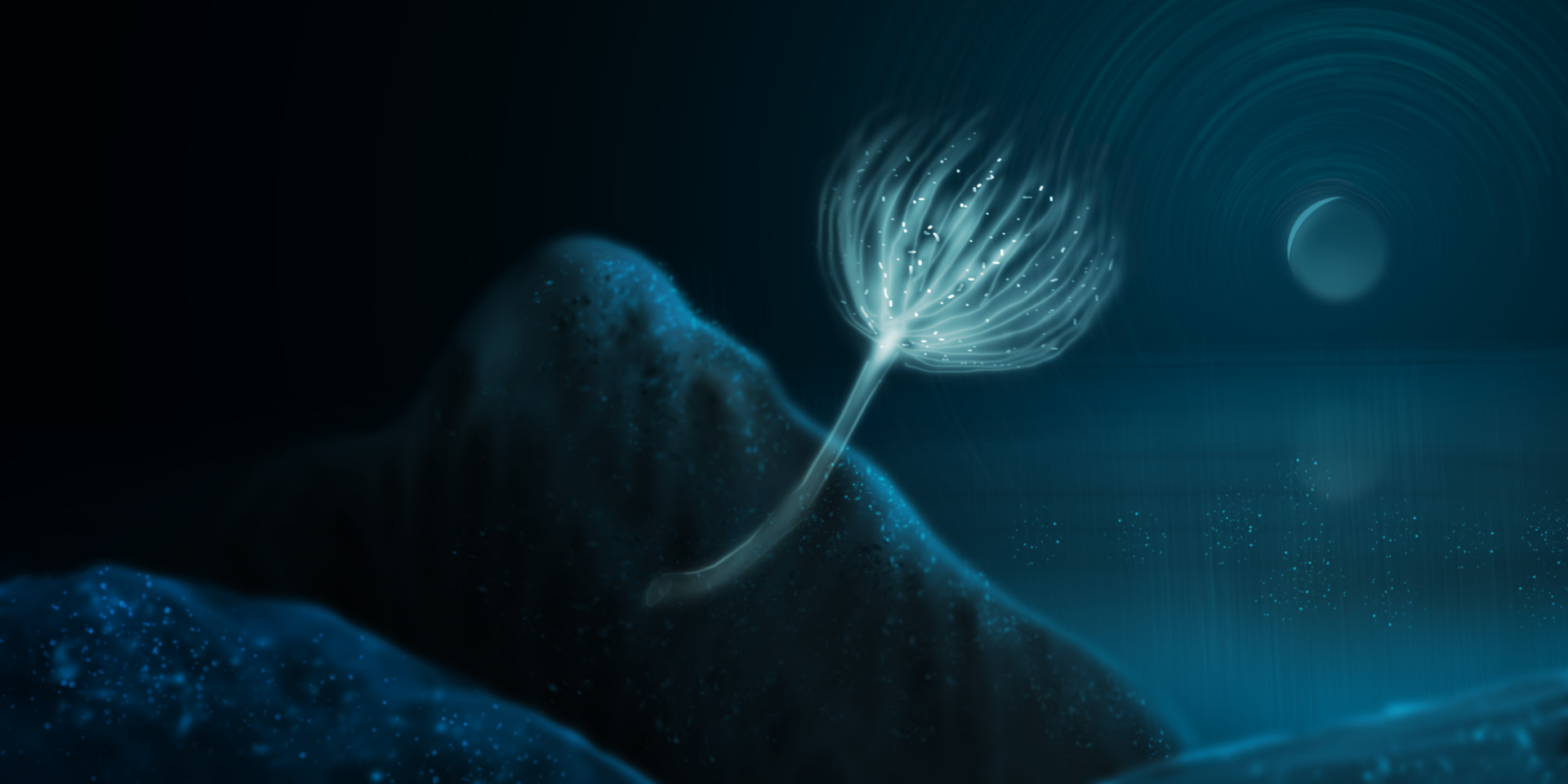 Ramesh Devasi - Power of softness