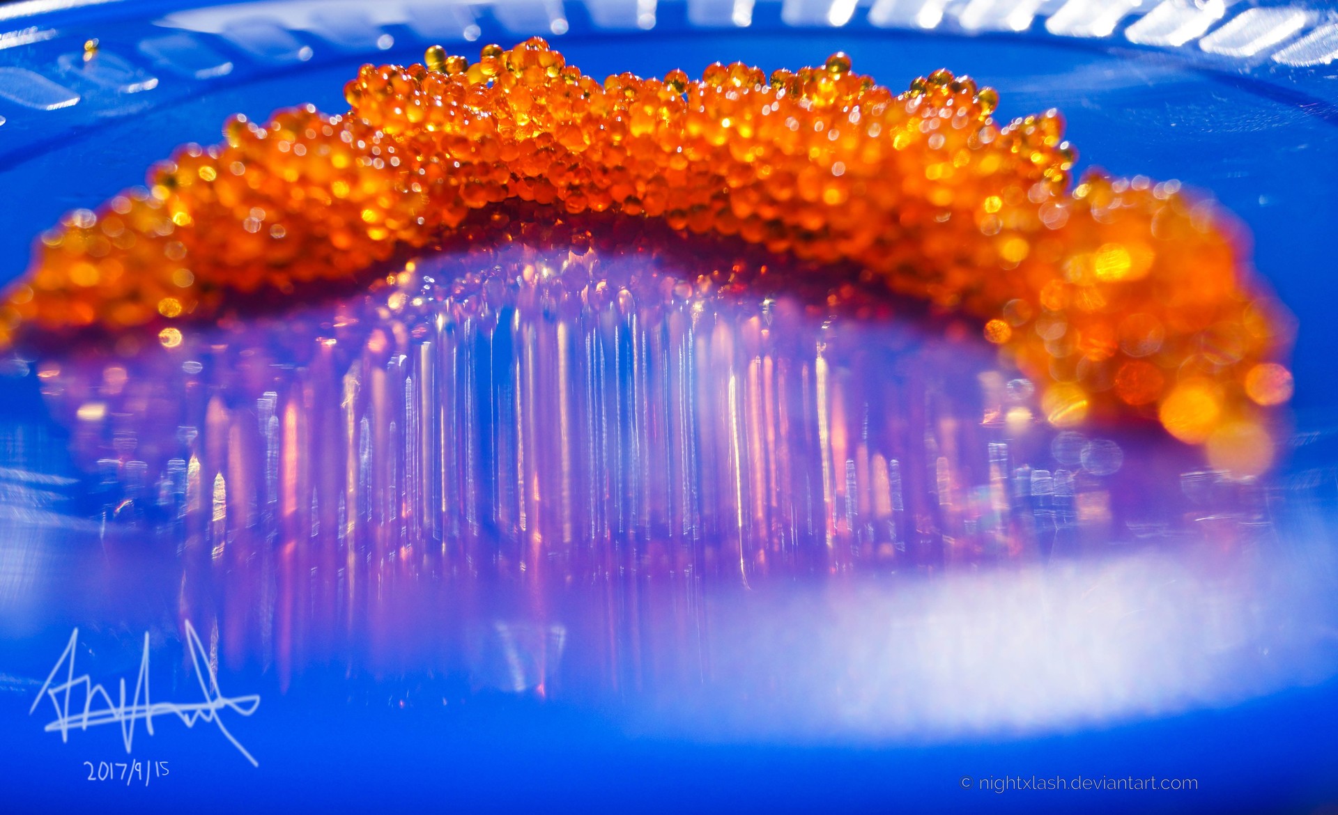 ArtStation - Fish Roe