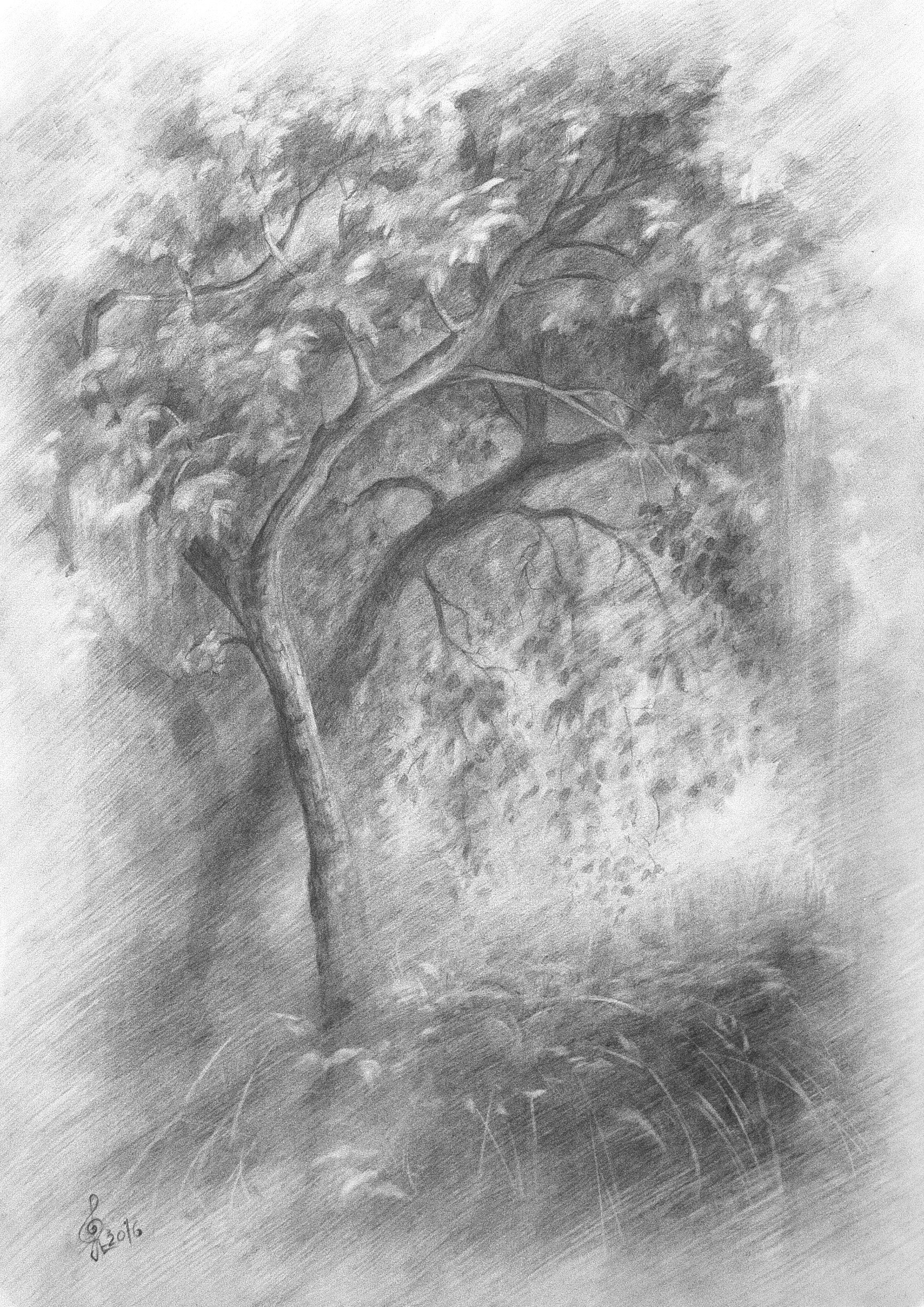 ArtStation - Apple trees