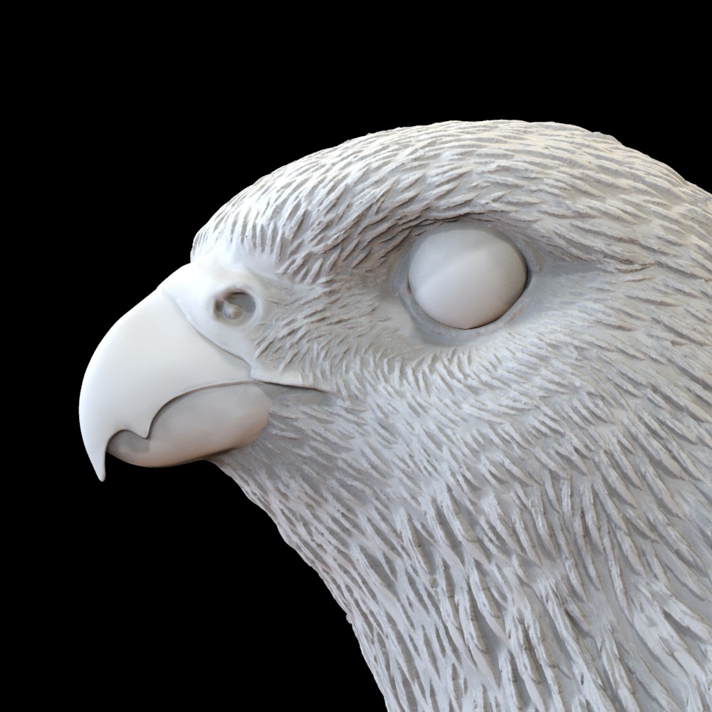 Alexandr Pavljuk - 3D falcon head