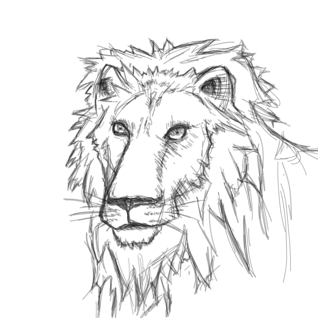 ArtStation - Lion Draw
