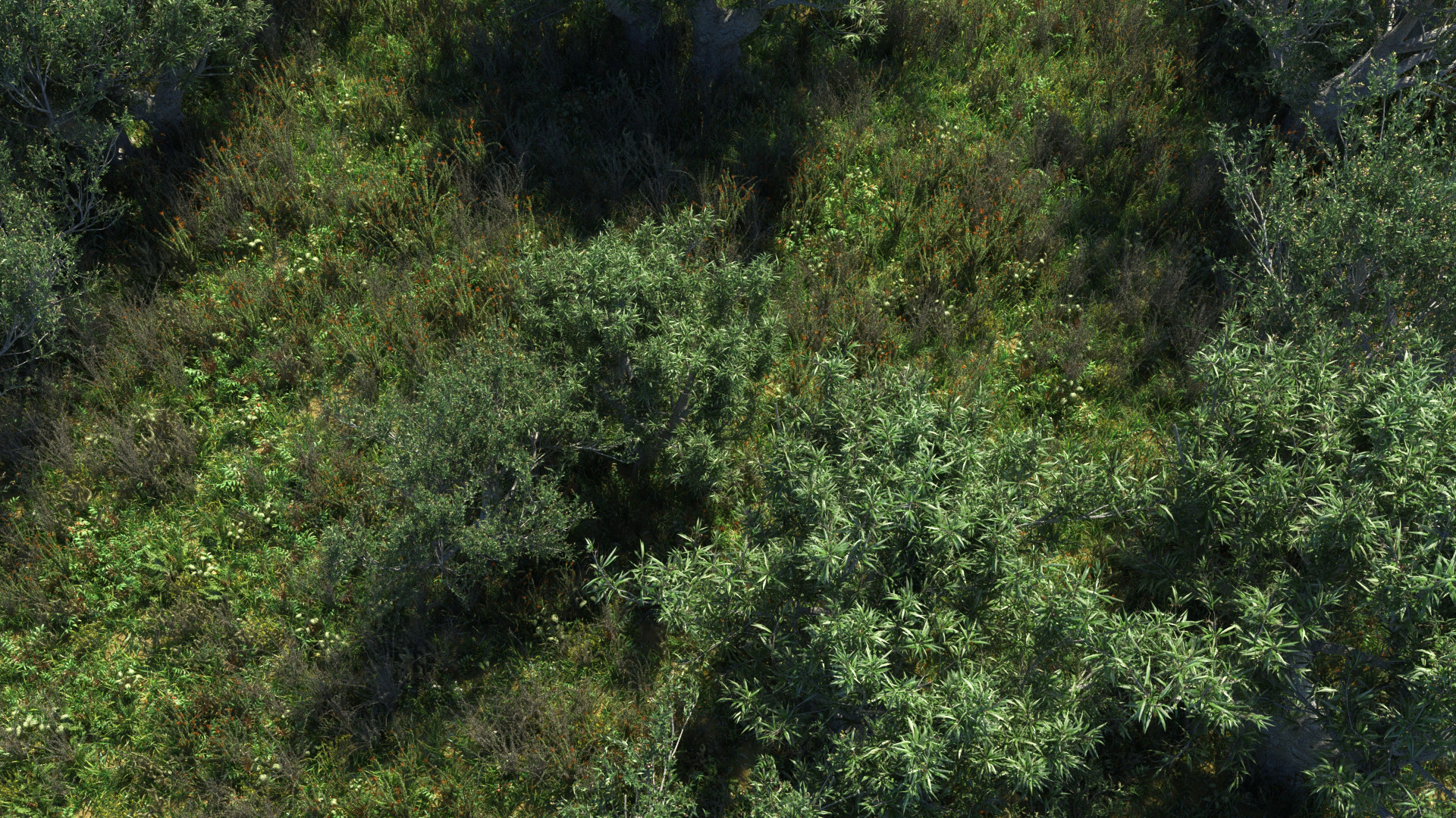 ArtStation - 3D Nature (Maya)