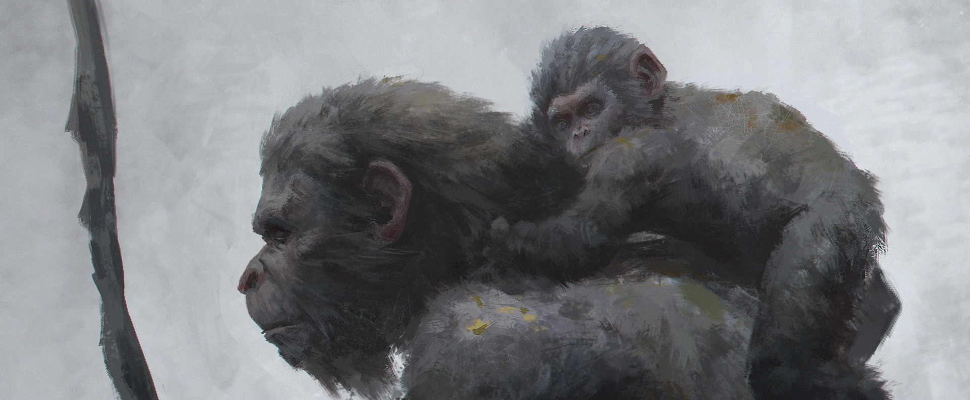 Junling Wang - monkey