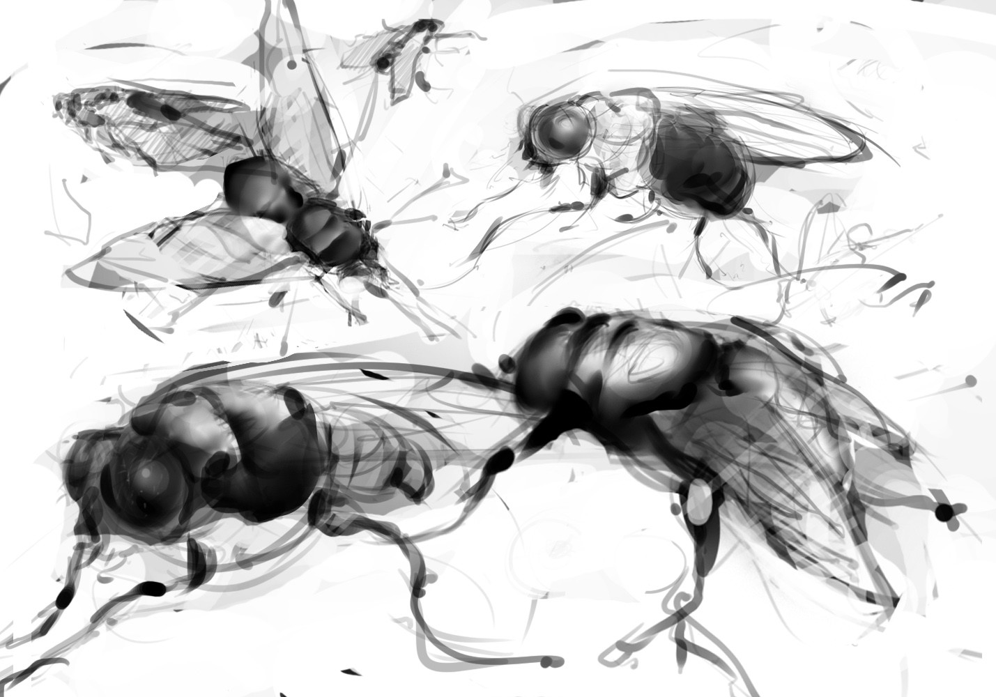 ArtStation - Flies