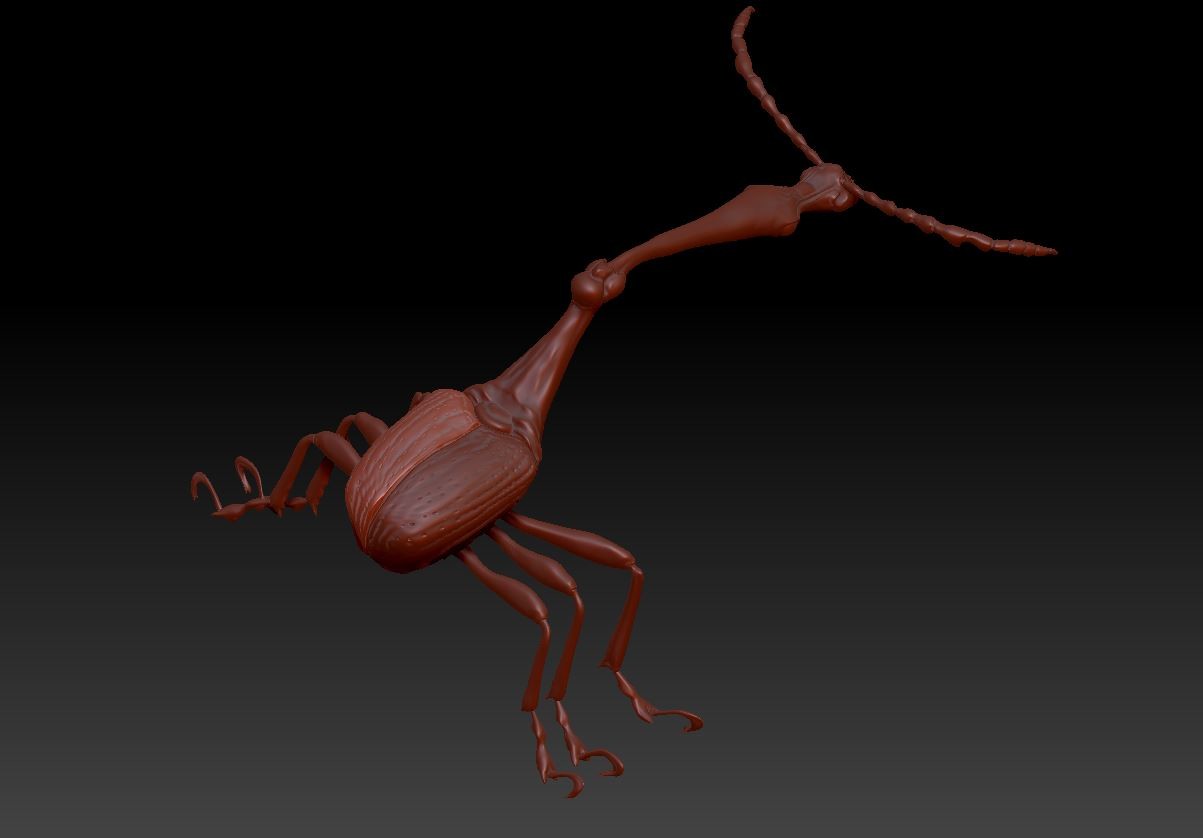 Gustav Thelander - Giraffe Weevil - 2017 Creature creation project