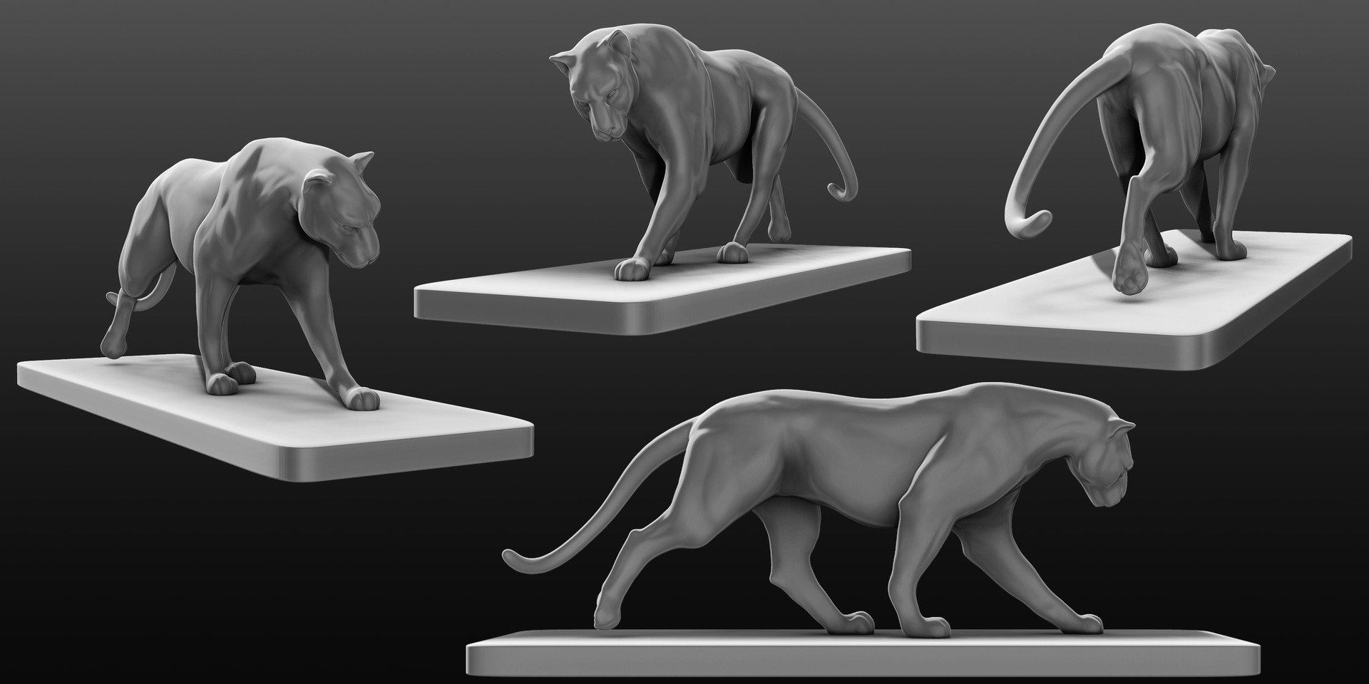 ArtStation - Animals studies